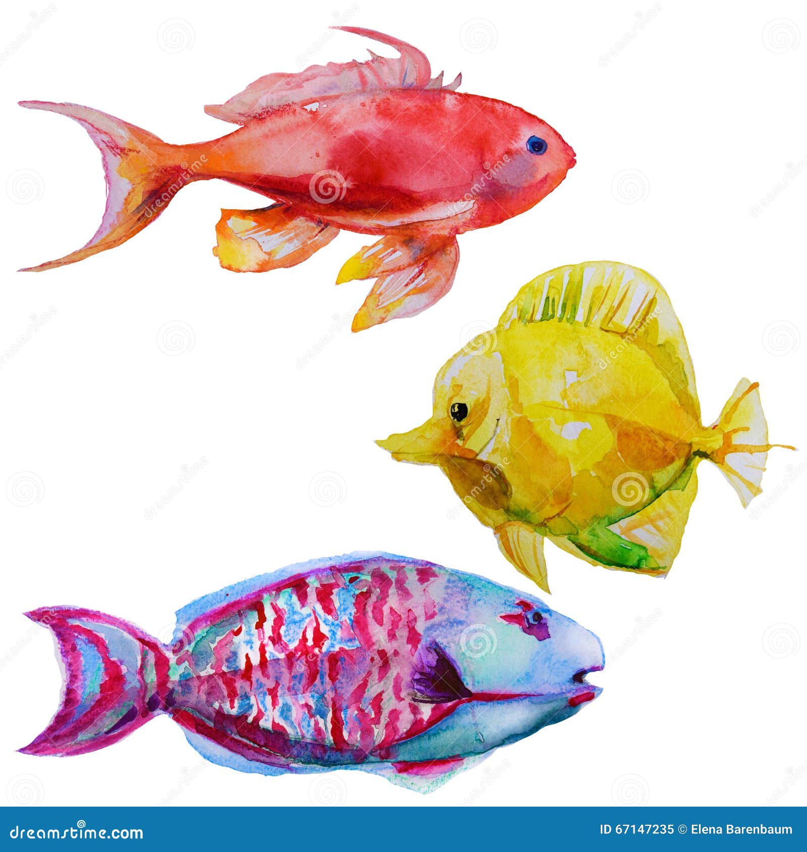 Tropical Fish Watercolor