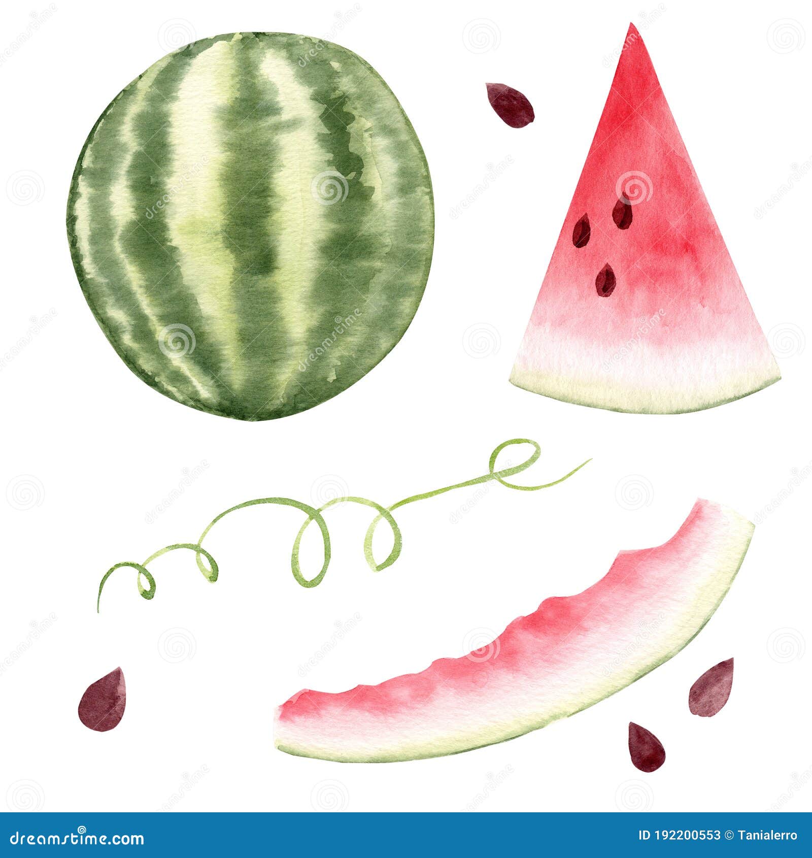 Watermelon Clipart Summer Wedding Invitation Watermelon Graphics Hand
