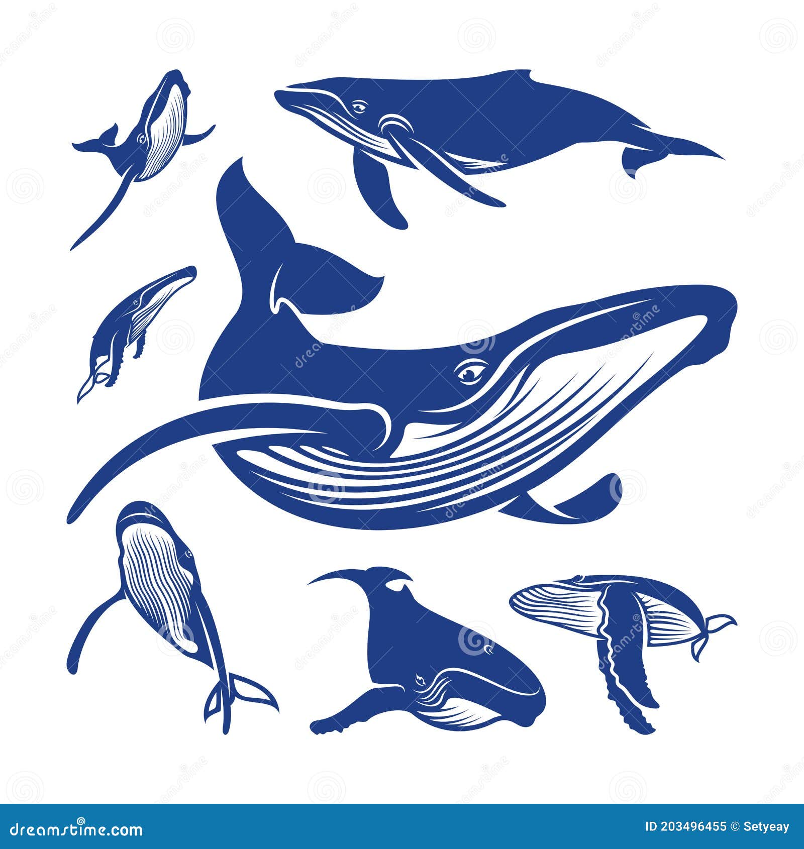 Set of Whale Design Vector, Creative Whale Illustration Template Stock ...