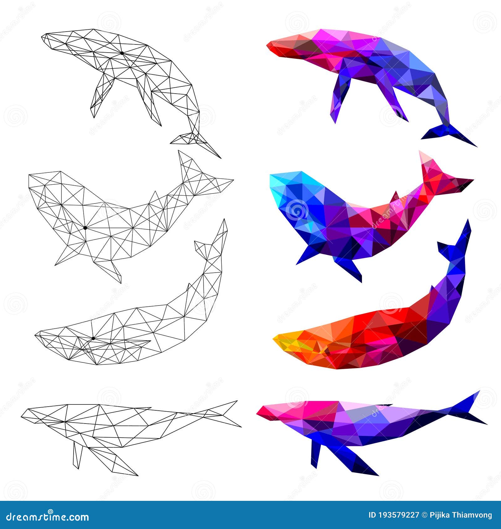 Set of Whale Polygon Geometric. Stock Vector - Illustration of white ...