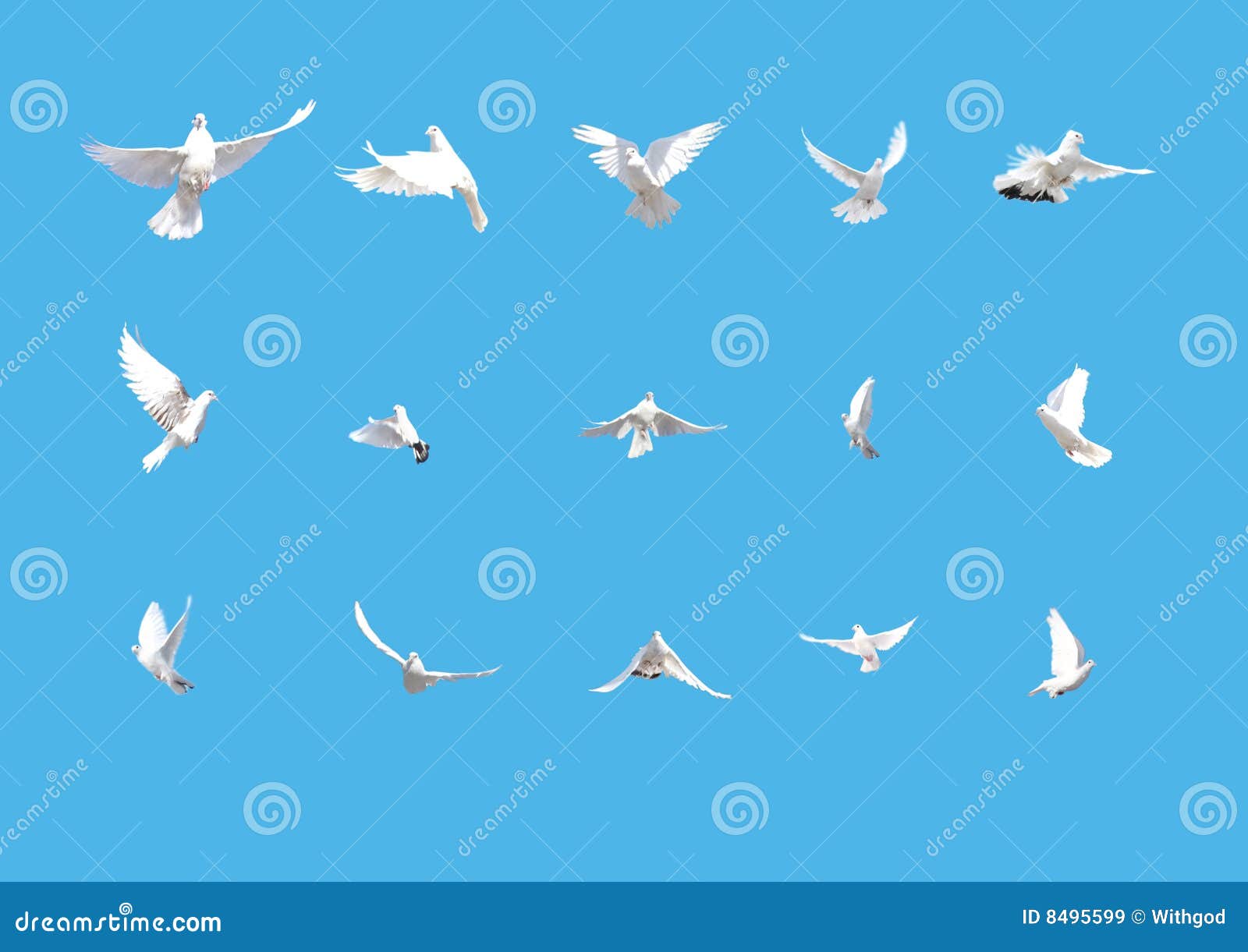 Doves Royalty-Free Stock Photography | CartoonDealer.com #40088201