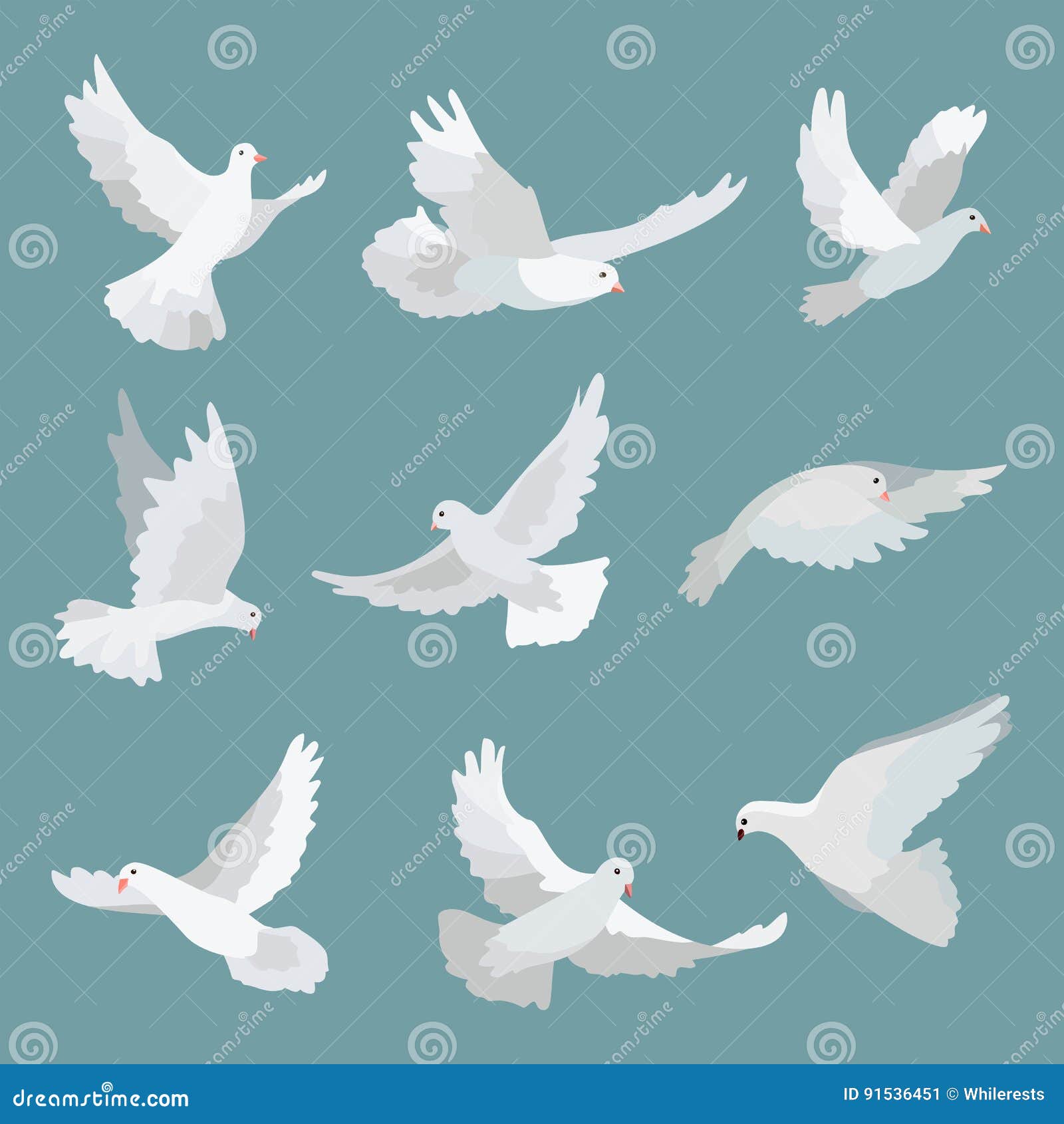 Two White Doves Kissing Cartoon Vector | CartoonDealer.com #7202047