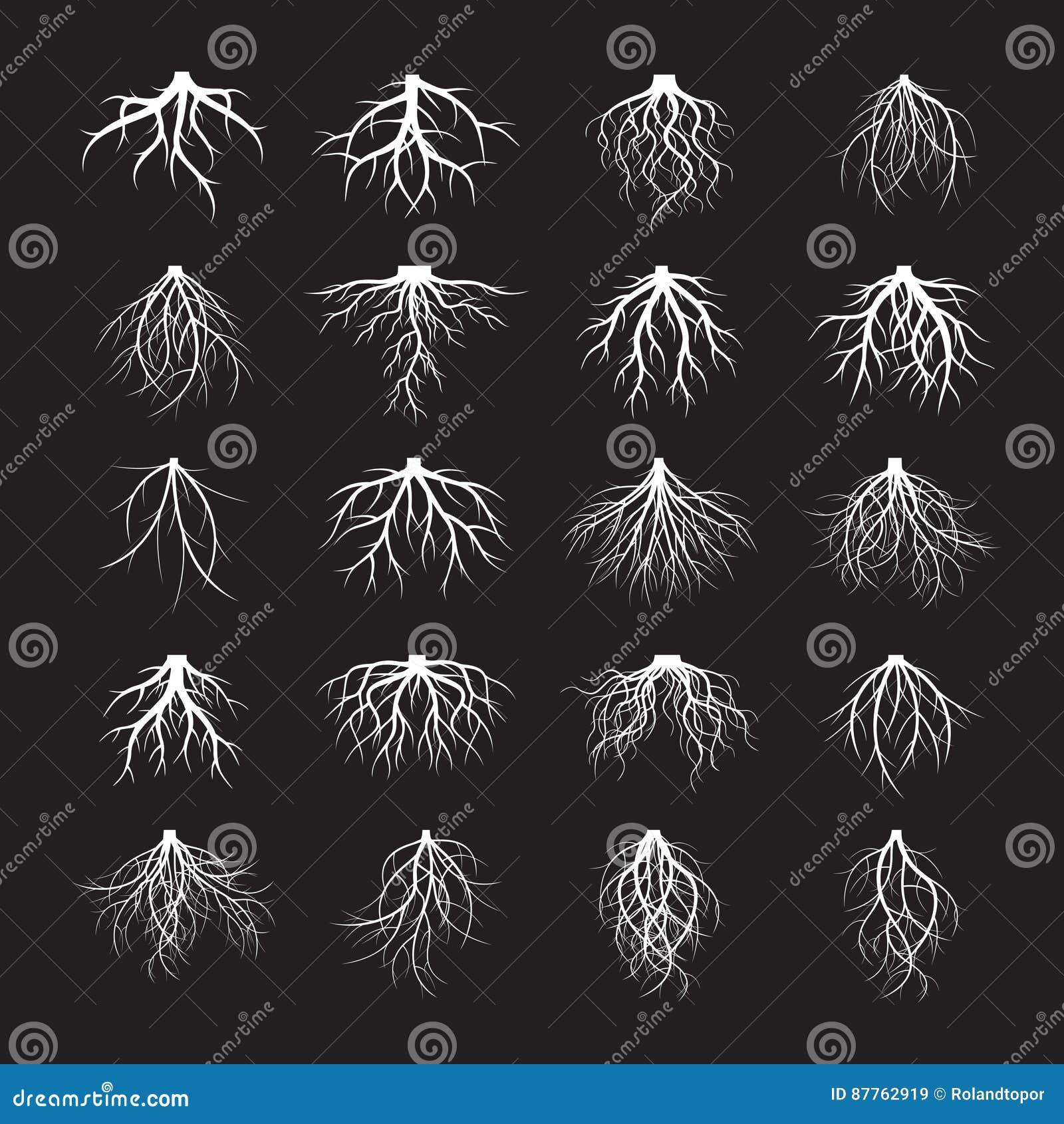 Set of white Roots. stock vector. Illustration of collection - 87762919