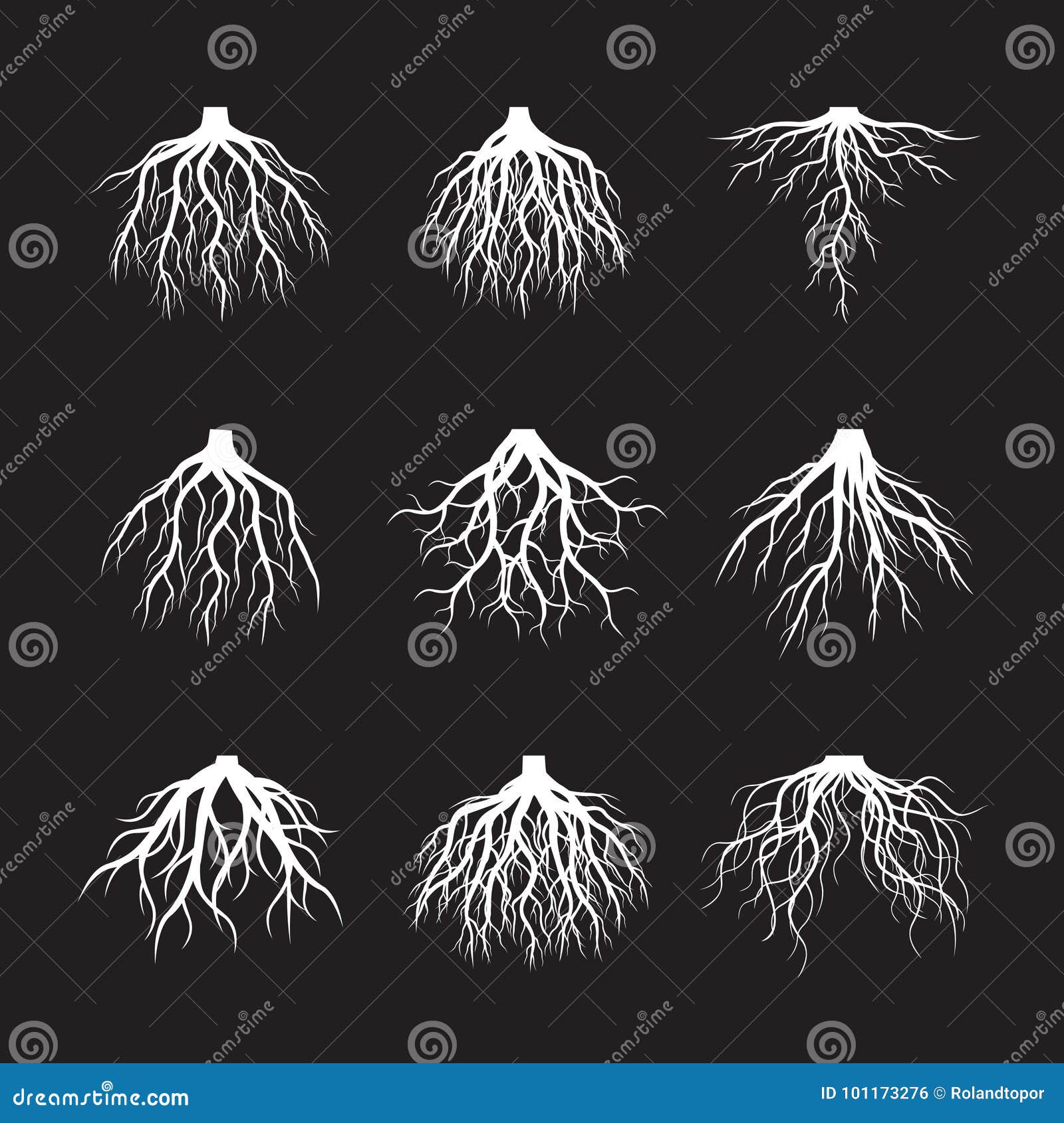 Set of White Roots Tree on Black Background. Stock Vector ...