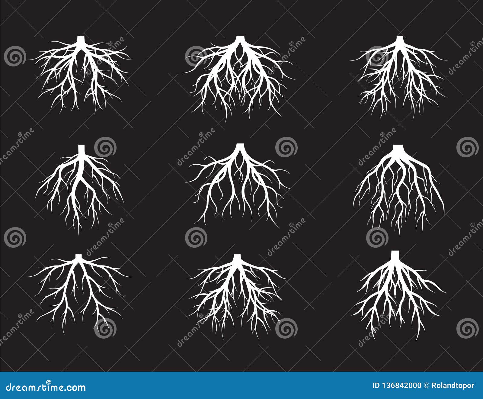 Set of White Roots Tree on Black Background. Vector Illustration Stock ...