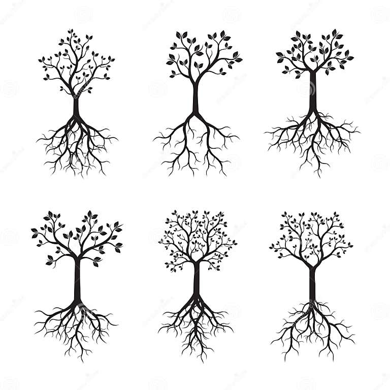 Set of White Trees with Roots. Vector Illustration. Stock Vector ...
