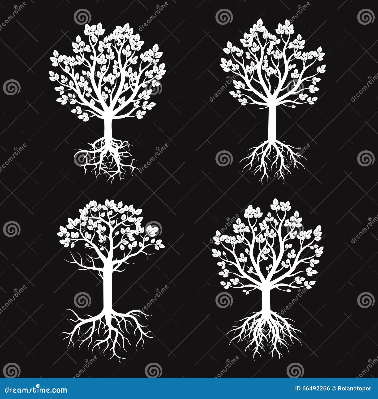 Set of White Trees and Roots. Vector Illustration. Stock Illustration ...