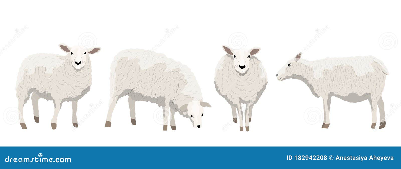 Sheep Various Pose Set Vector Illustration | CartoonDealer.com #193283154