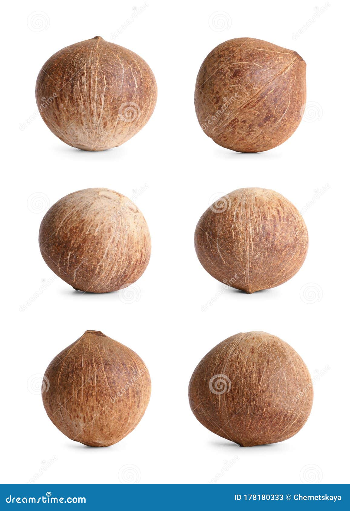 Set of Whole Brown Coconuts Isolated Stock Image - Image of object ...