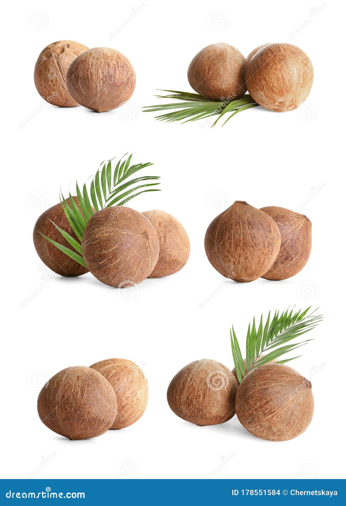 Set of Whole Brown Coconuts Isolated Stock Photo - Image of palm, food ... Set of Whole Brown Coconuts Isolated Stock Photo - Image of palm, food ...