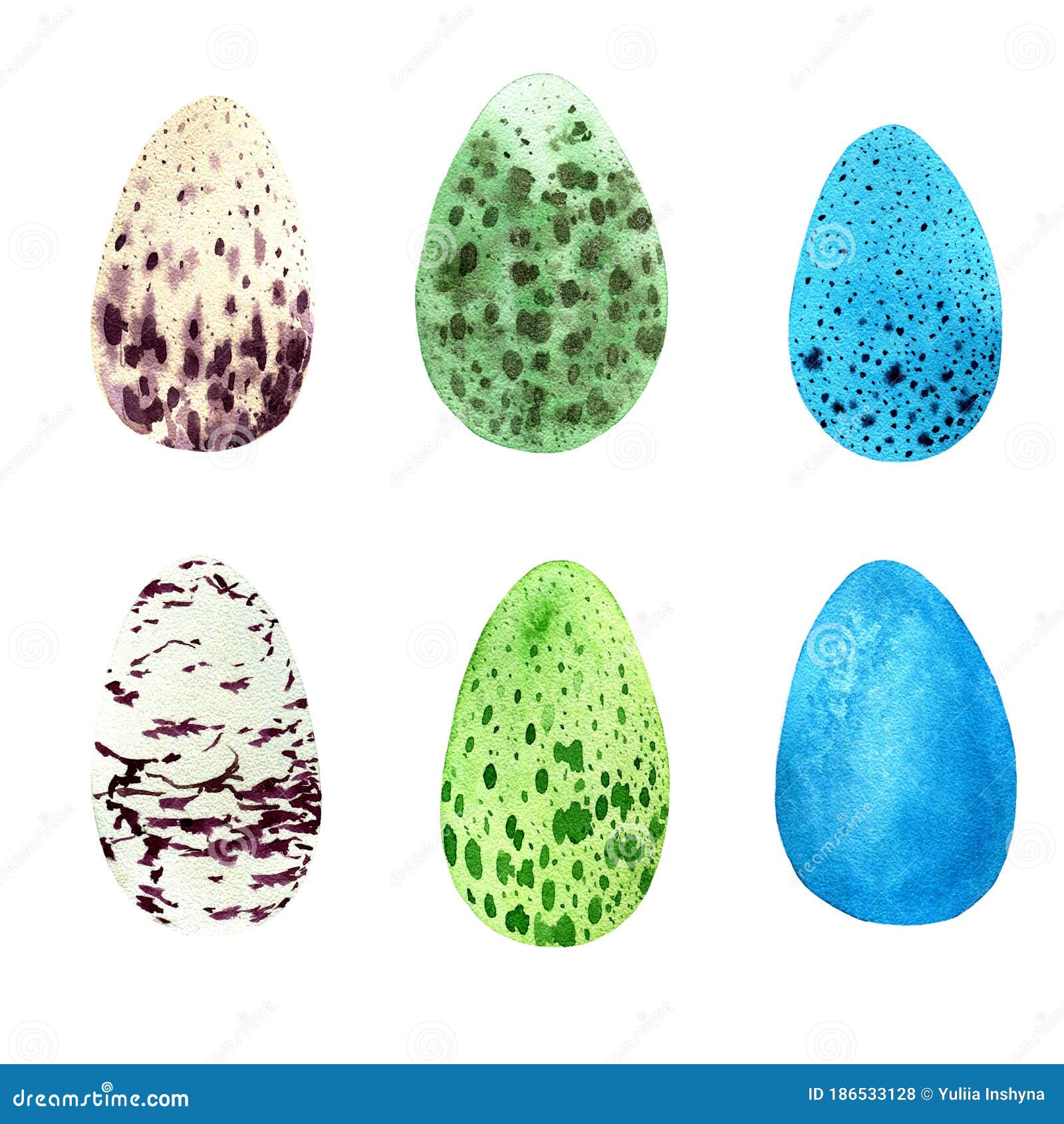 Two Bird Eggs With Embryo And Egg Anatomy. Cross Section Illustration ...