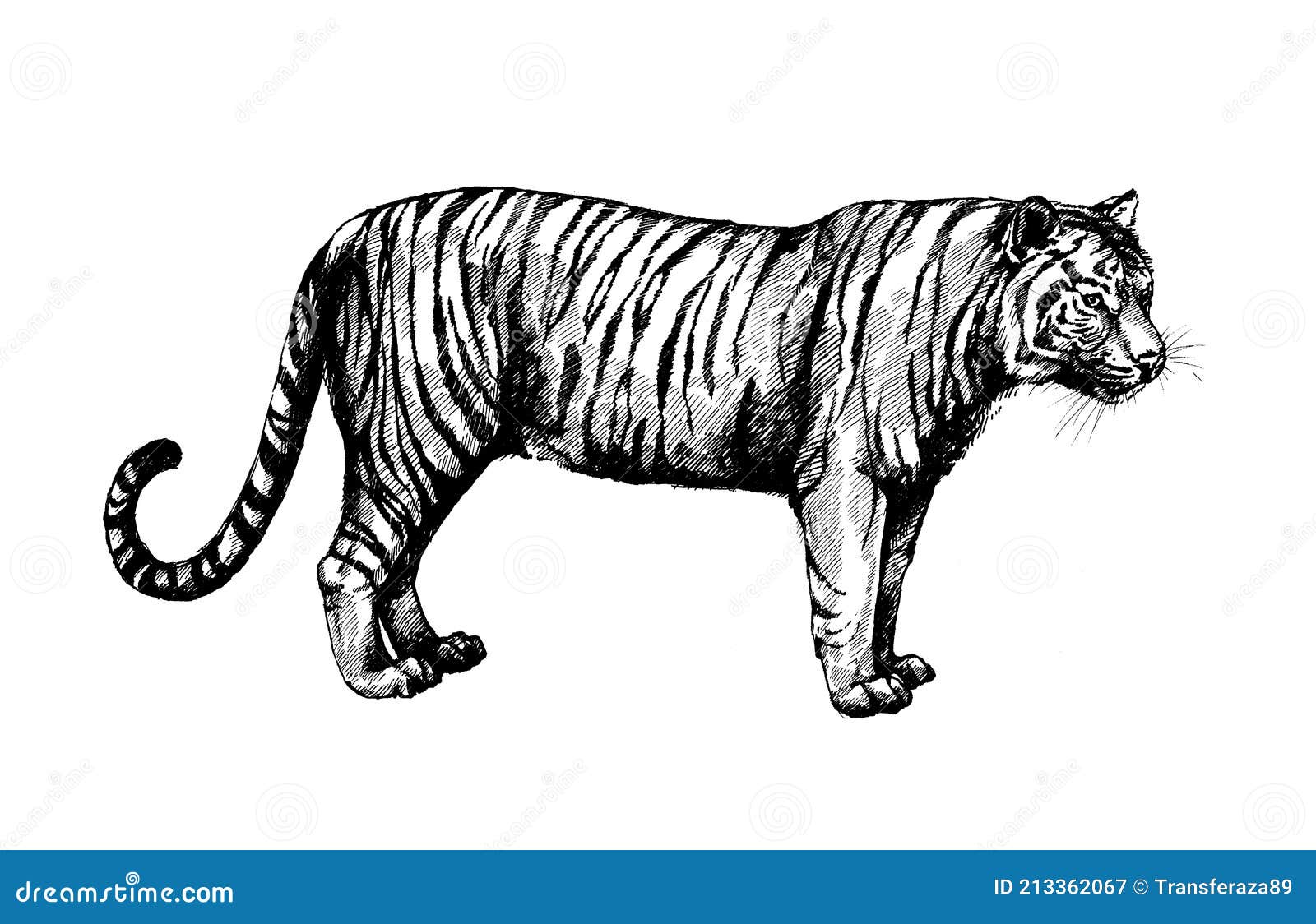 Illustration Of Tiger Dance During The Onam Festival In Kerala Stock ...