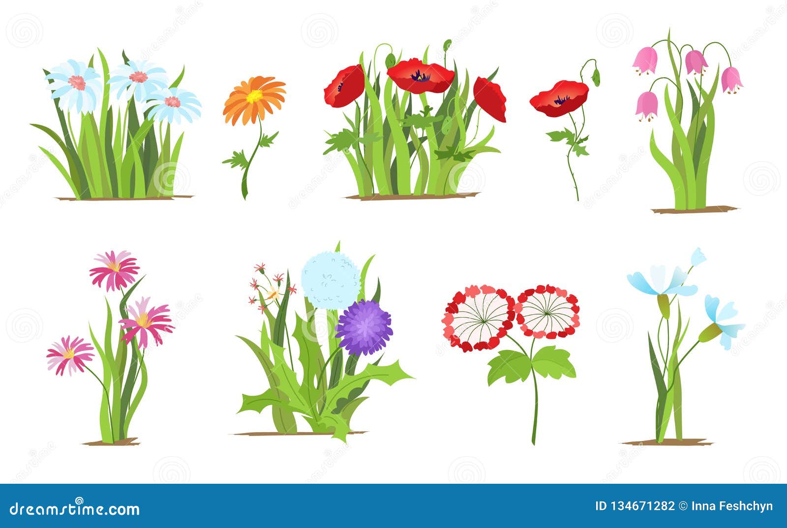 Set of Wild Forest and Garden Flowers. Spring Concept. Flat Vector ...