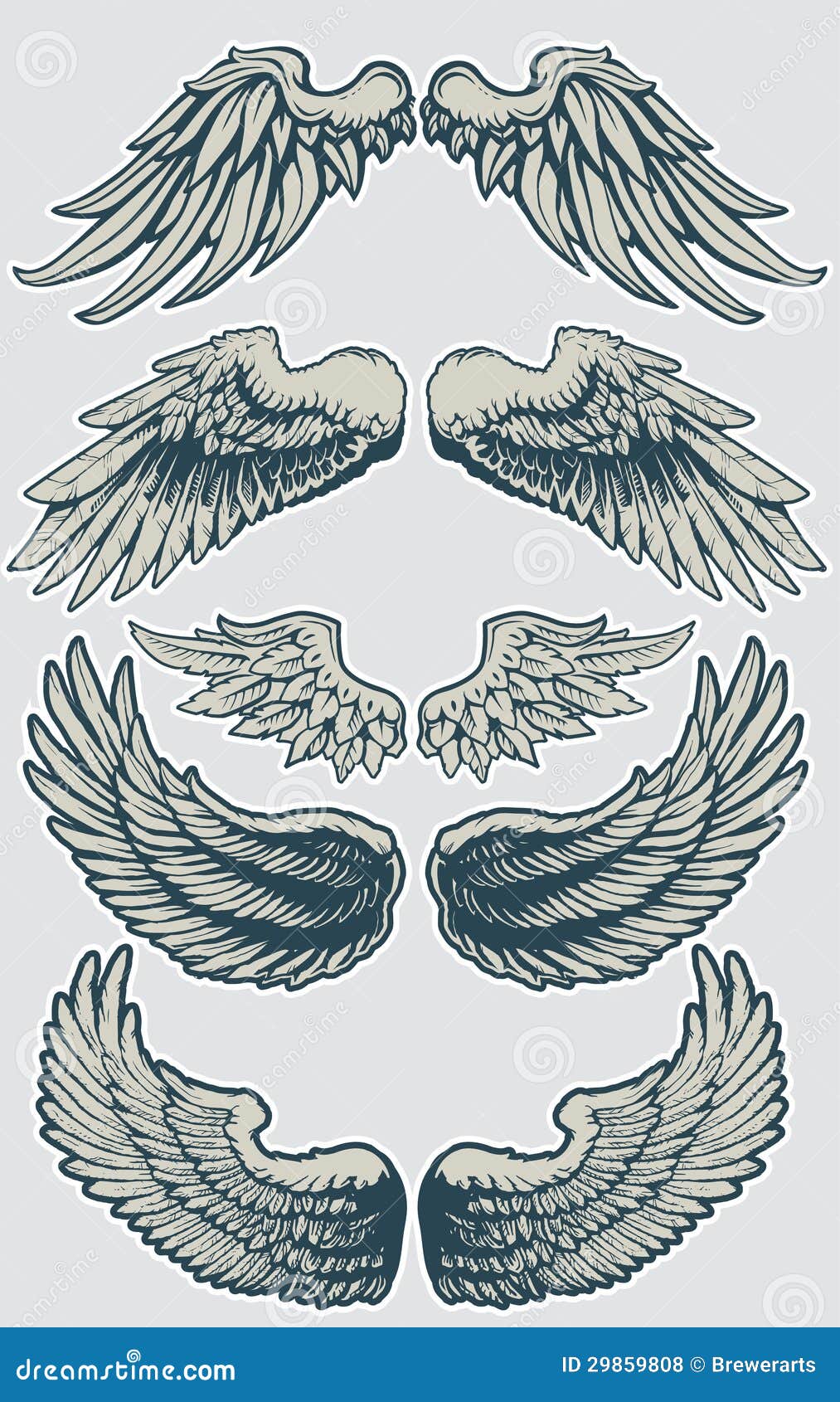 Wing Set 1 stock vector. Illustration of grunge, gothic - 29859808