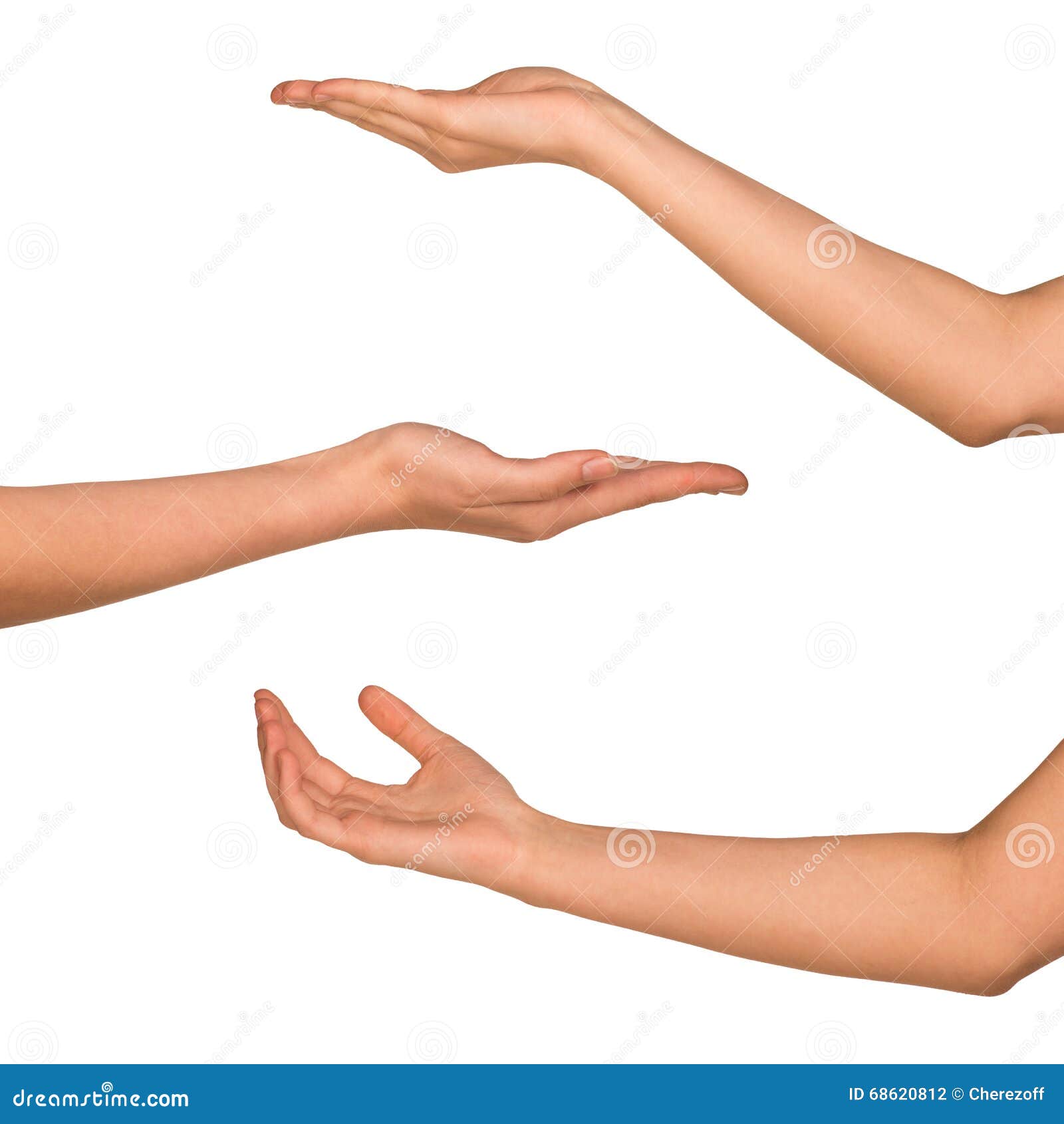 Set of woman arms stock photo. Image of hand, isolated - 68620812