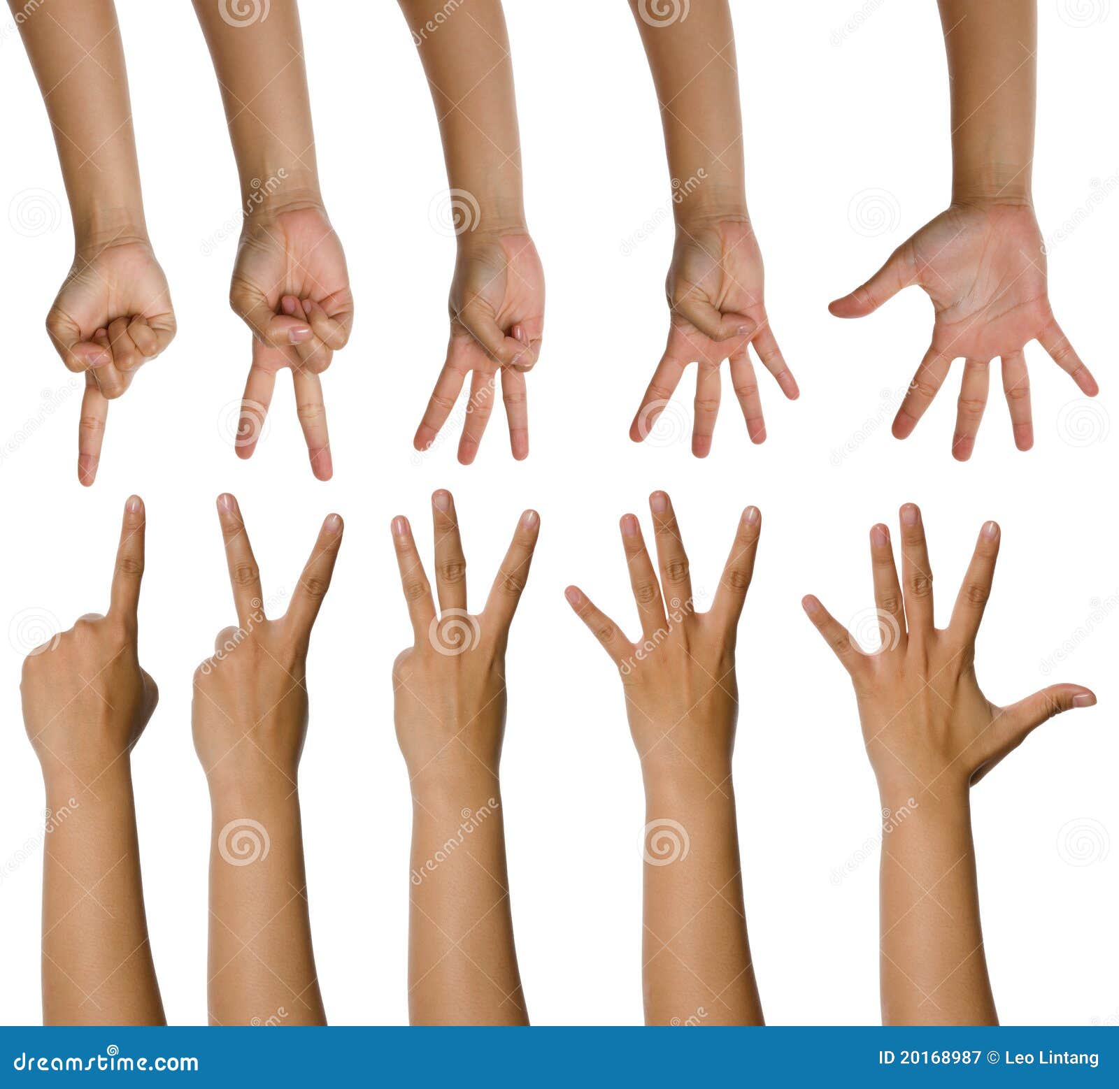 Set of Woman Counting Hands Stock Image - Image of girl, thumb: 20168987