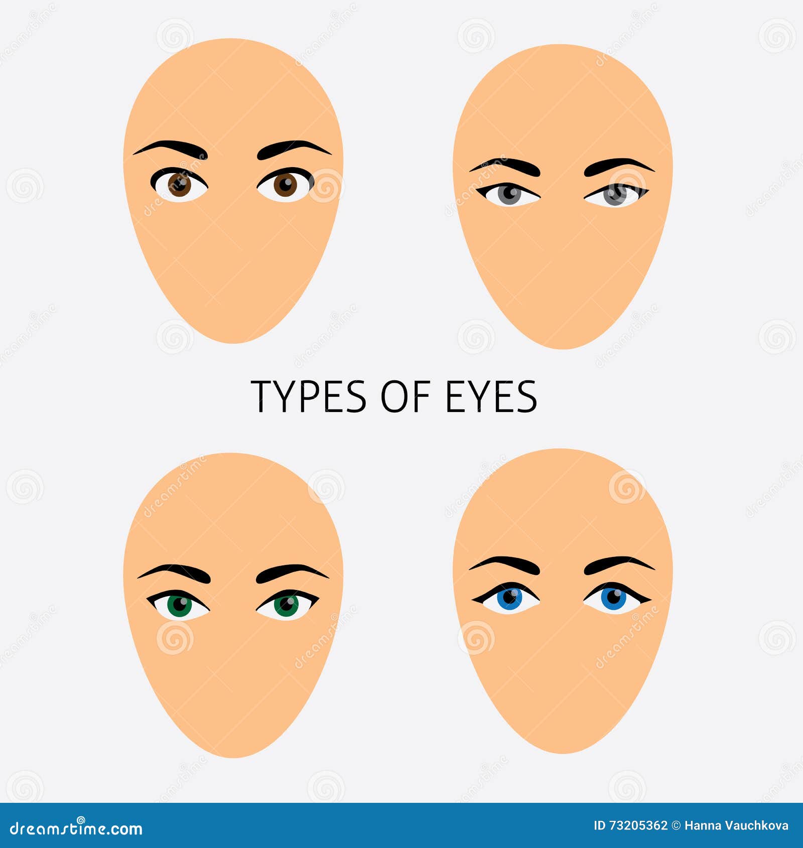 Set of Woman Eyes Types Vector Flat Illustration Stock Vector ...