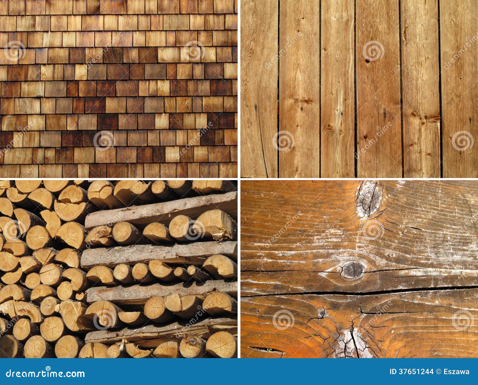 Set of wood textures stock photo. Image of abstract, collection - 37651244