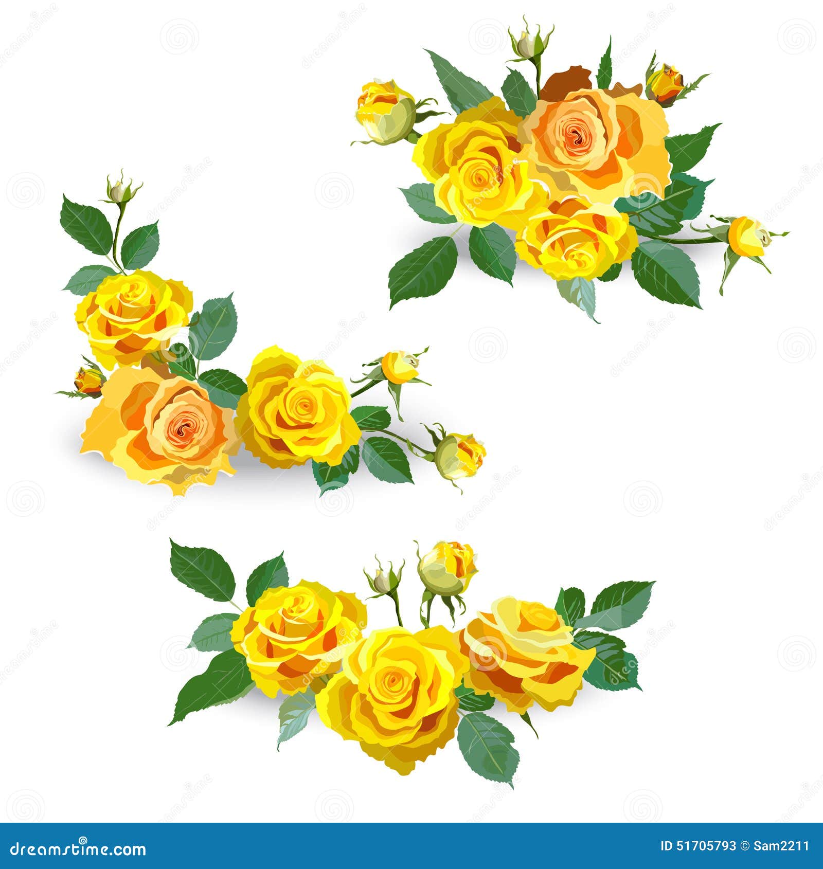 Set of yellow roses. stock vector. Illustration of flora - 51705793