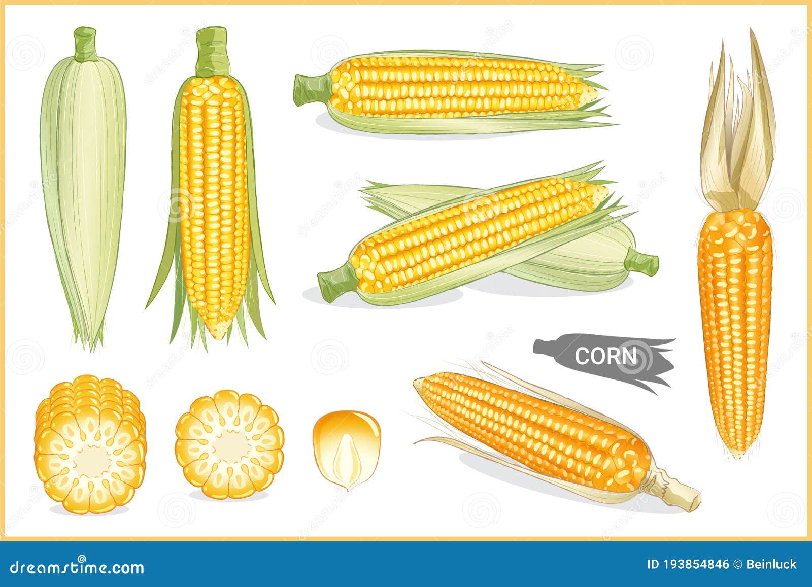 Set of Yellow Sweet Corn in Various Style, Vector Format Stock Vector ...
