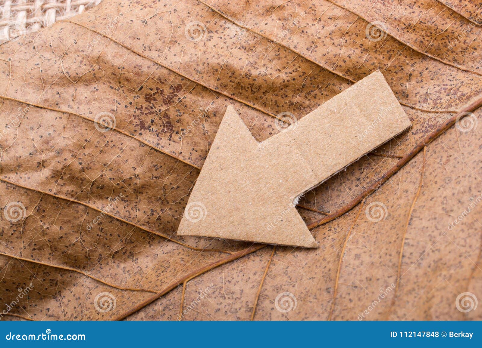 Seta Cortada Do Papel Marrom Na Folha Foto de Stock - Imagem de ...