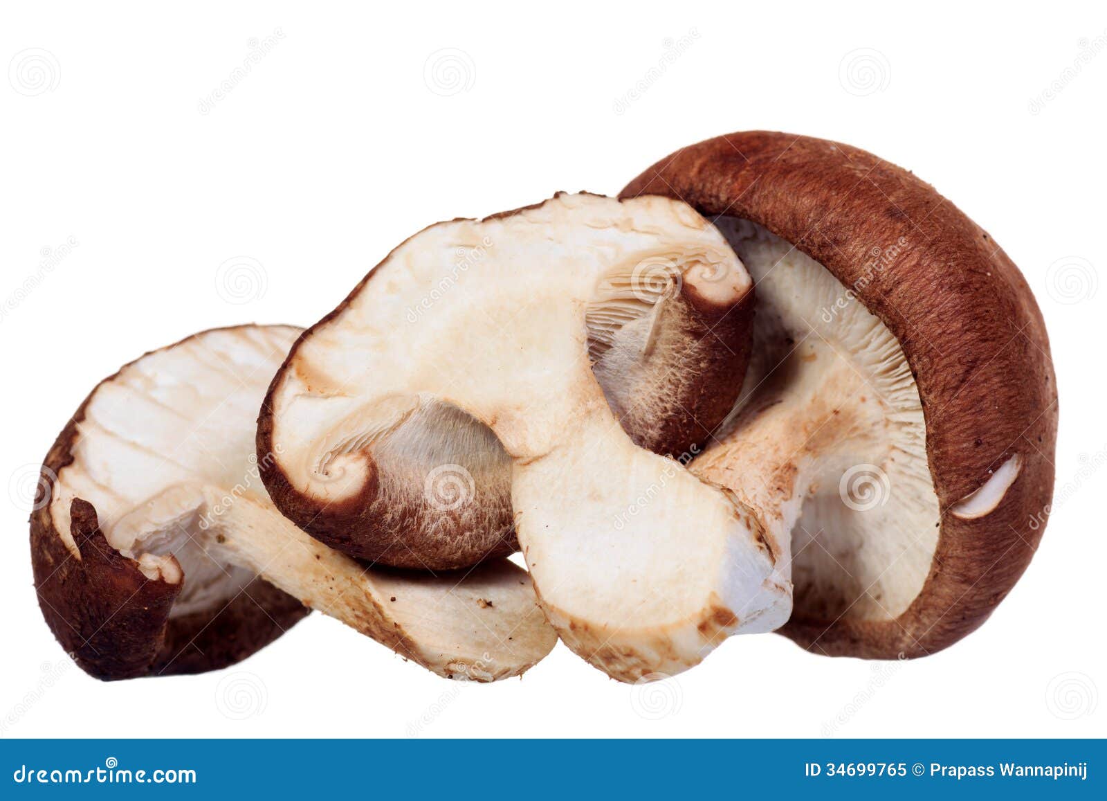 Seta de Shiitake aislada imagen de archivo. Imagen de alimento - 34699765