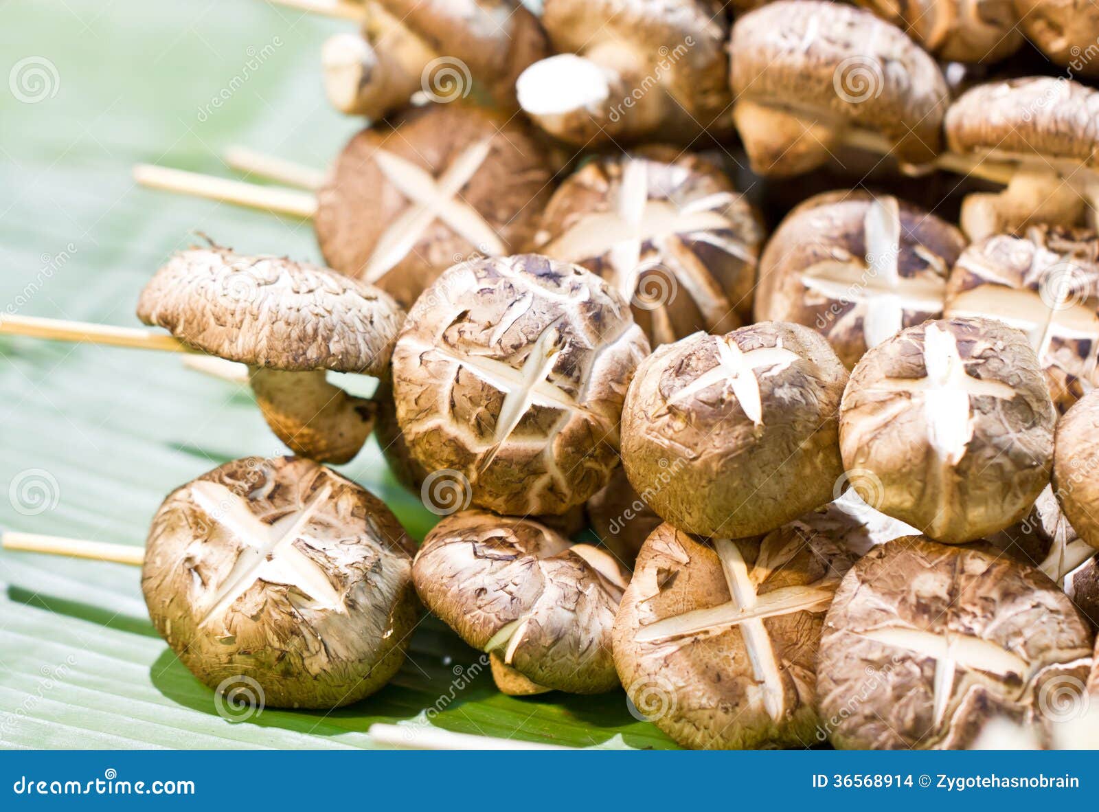 Seta De Shiitake Con Los Pinchos. Foto de archivo - Imagen de preparado ...