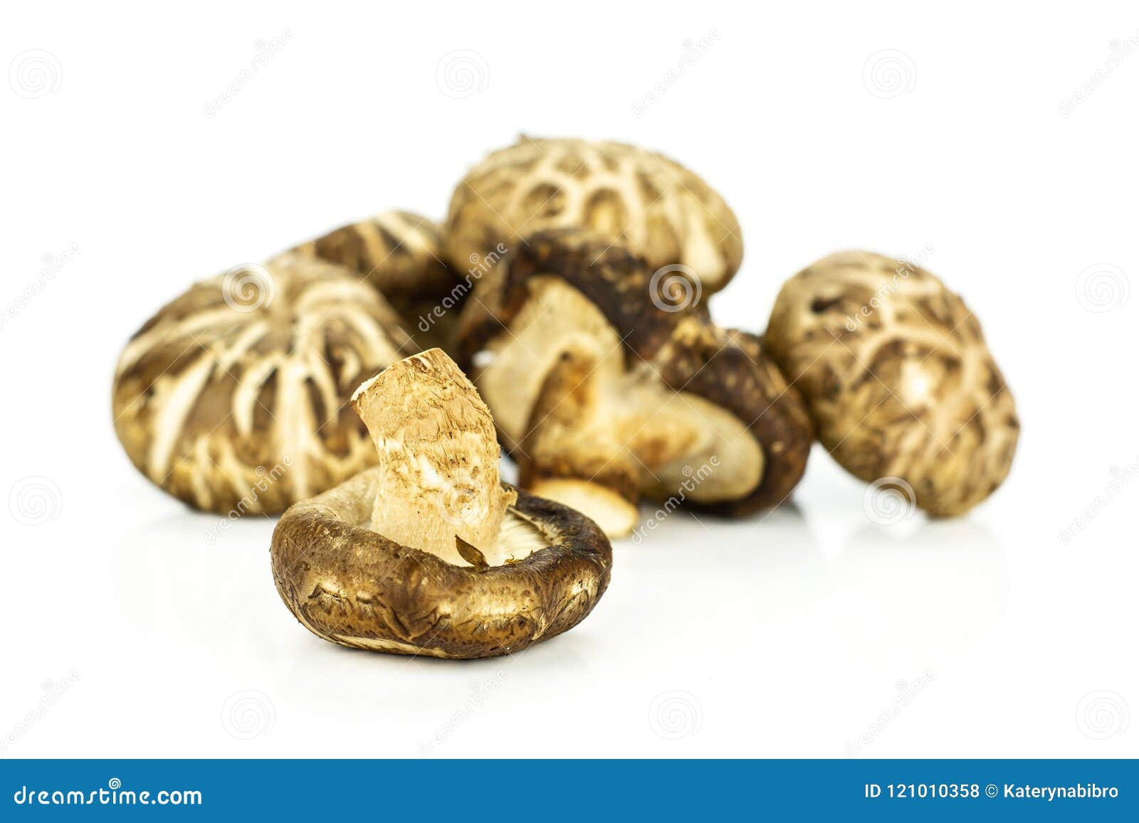 Seta De Shiitake Cruda Fresca Aislada En Blanco Foto de archivo ...