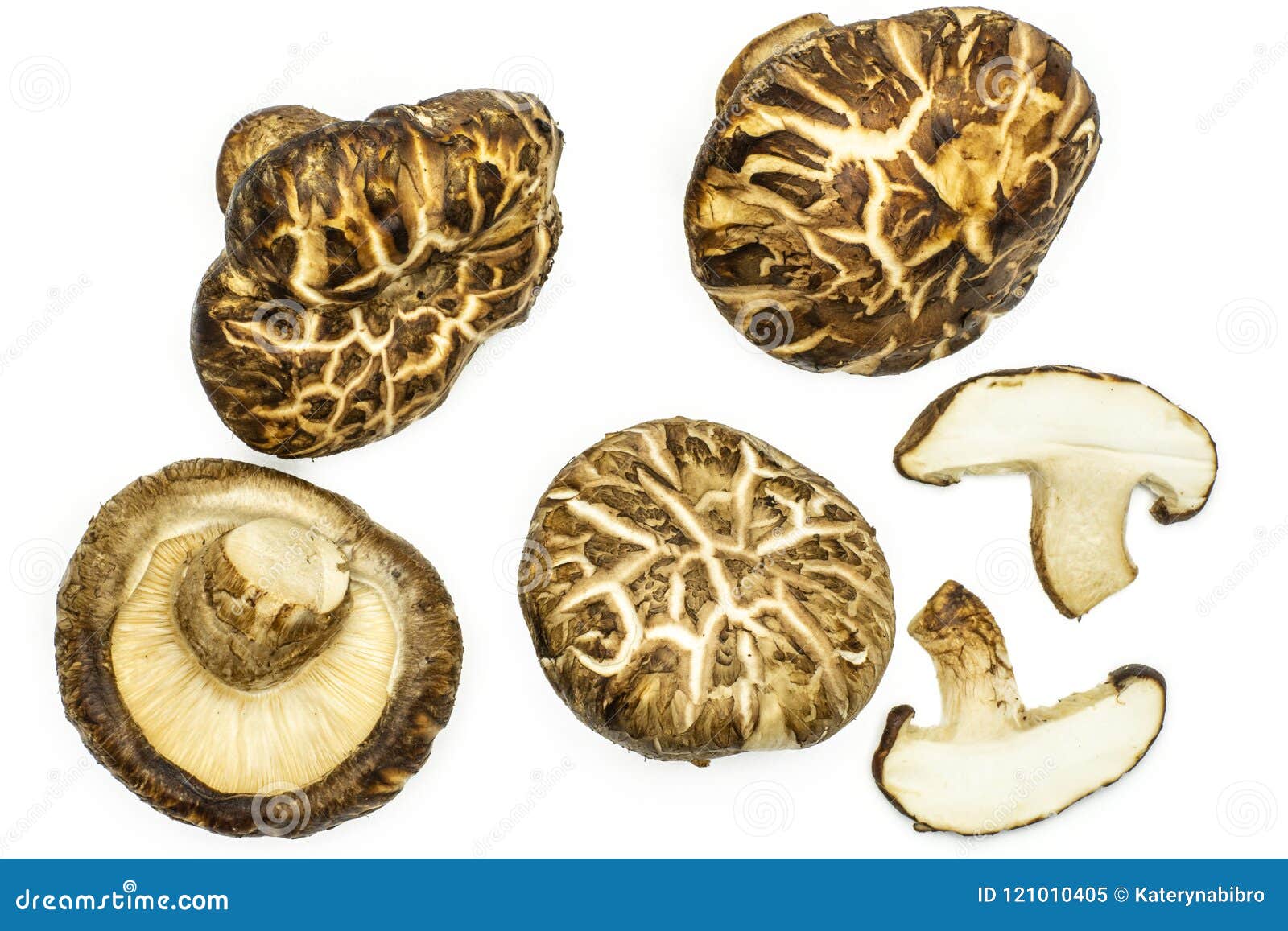 Seta De Shiitake Cruda Fresca Aislada En Blanco Imagen de archivo ...