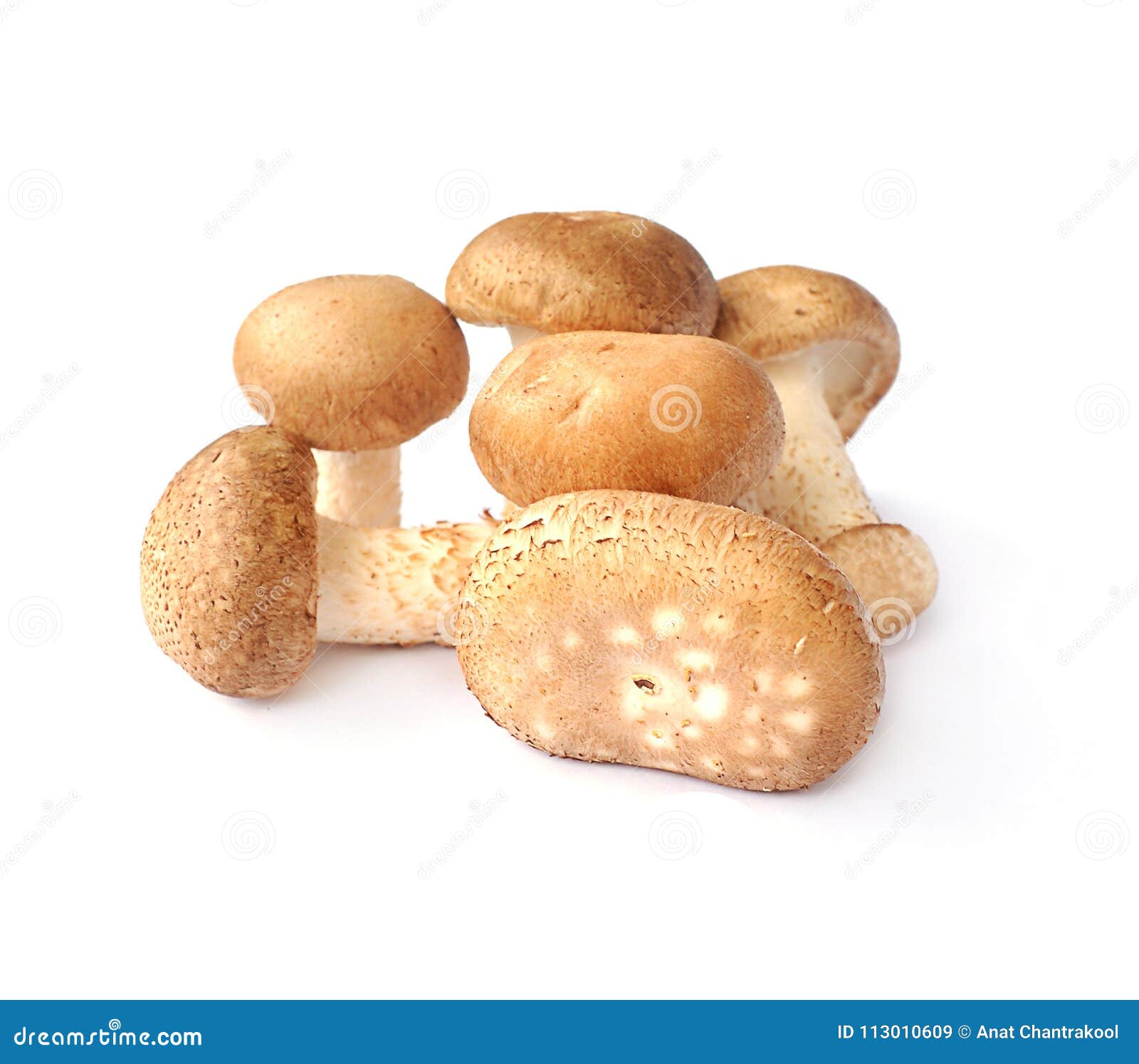 Seta De Shiitake En El Fondo Blanco Imagen de archivo - Imagen de ...