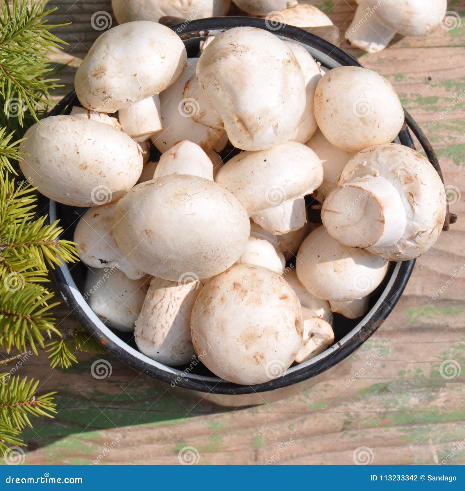 Seta En La Tabla Del Vintage Foto de archivo - Imagen de cena, comer ...