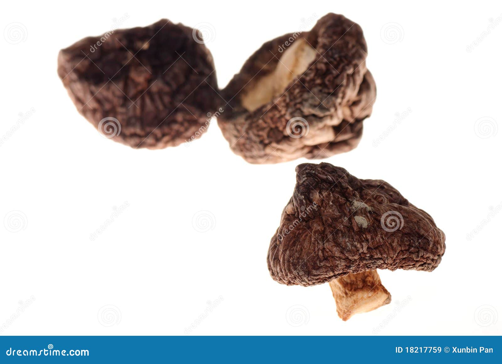 Seta negra imagen de archivo. Imagen de comer, nube, mercado - 18217759