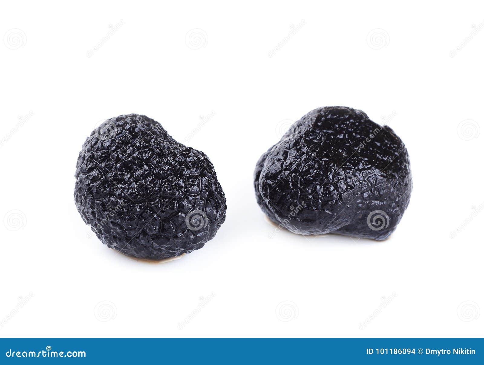 Seta negra de la trufa foto de archivo. Imagen de hongo - 101186094