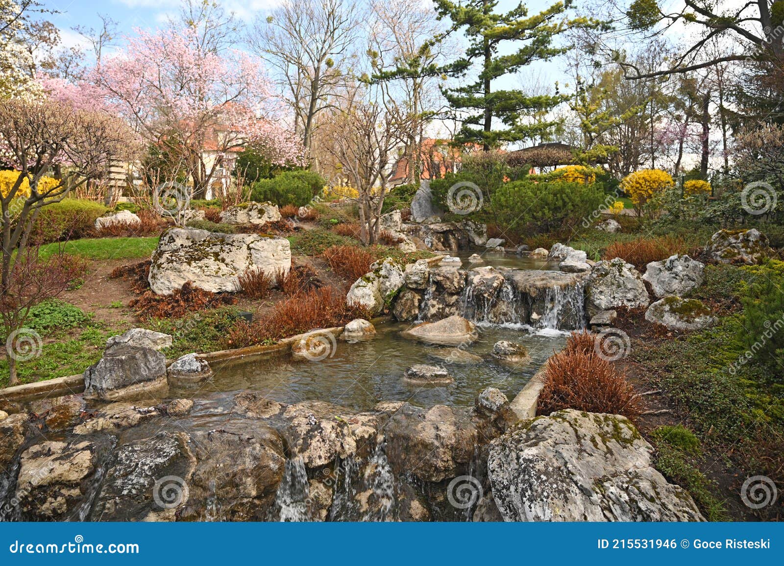 Setagaya Park in Vienna Springtime Stock Photo - Image of setagaya ...
