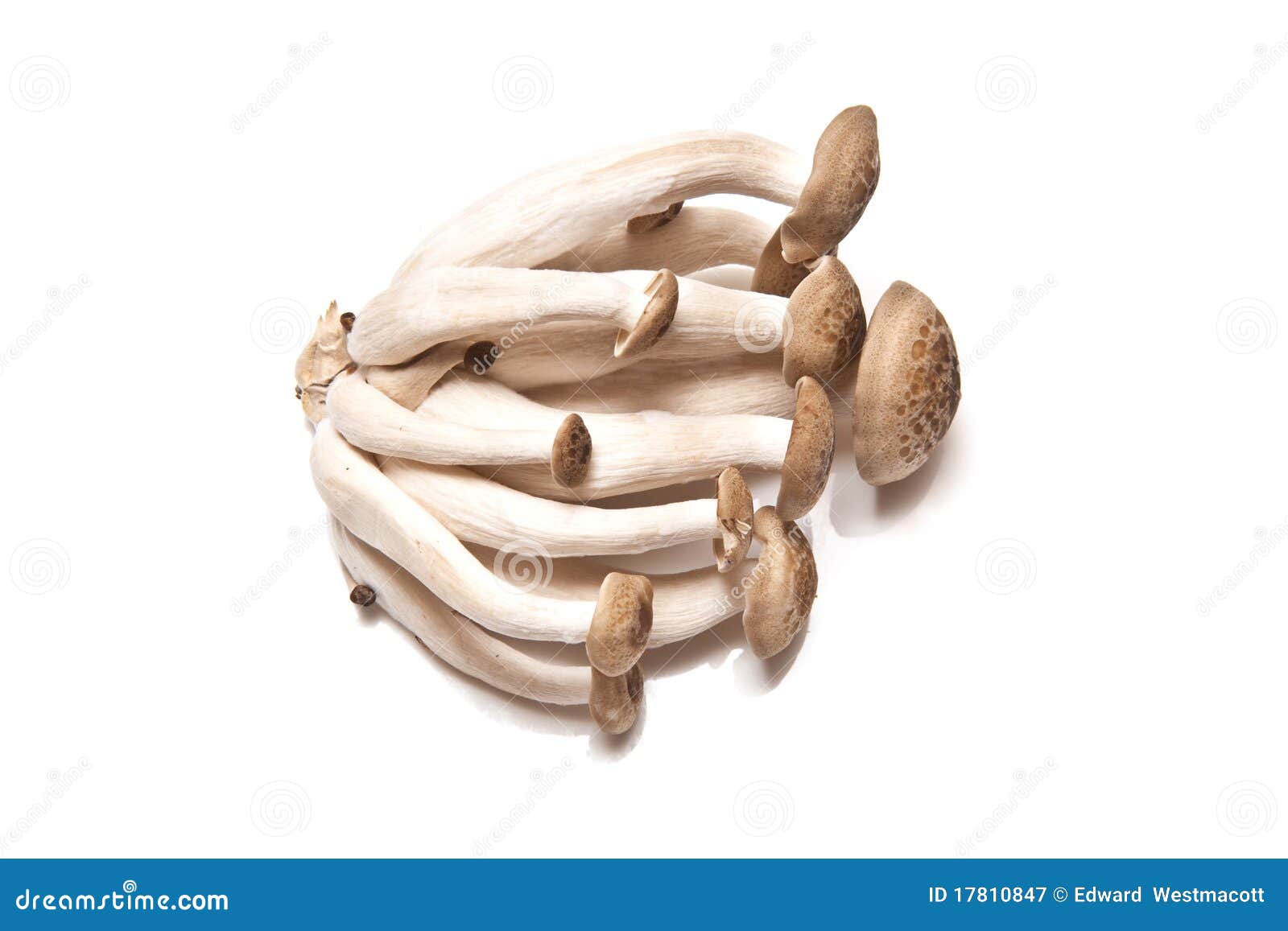 Setas chinas imagen de archivo. Imagen de porcelana, fondo - 17810847