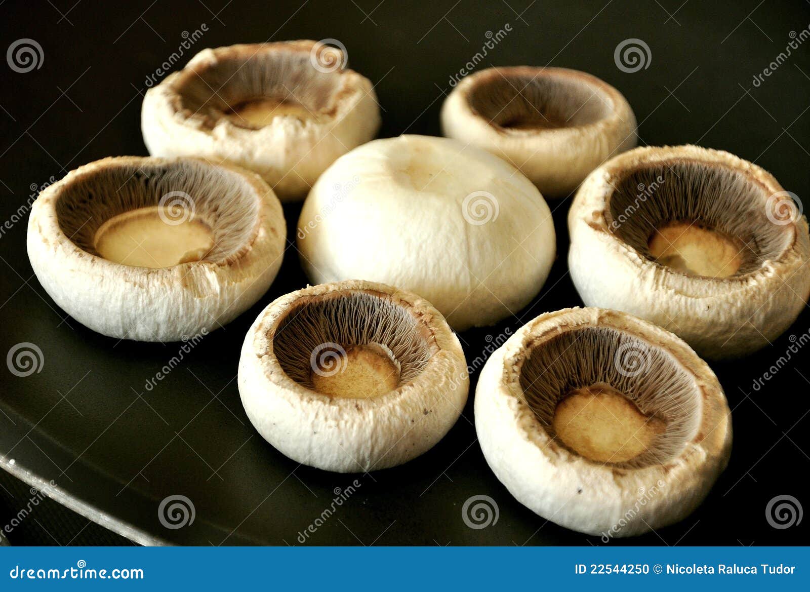 Setas Cocinadas En La Parrilla Foto de archivo - Imagen de verde, cena ...