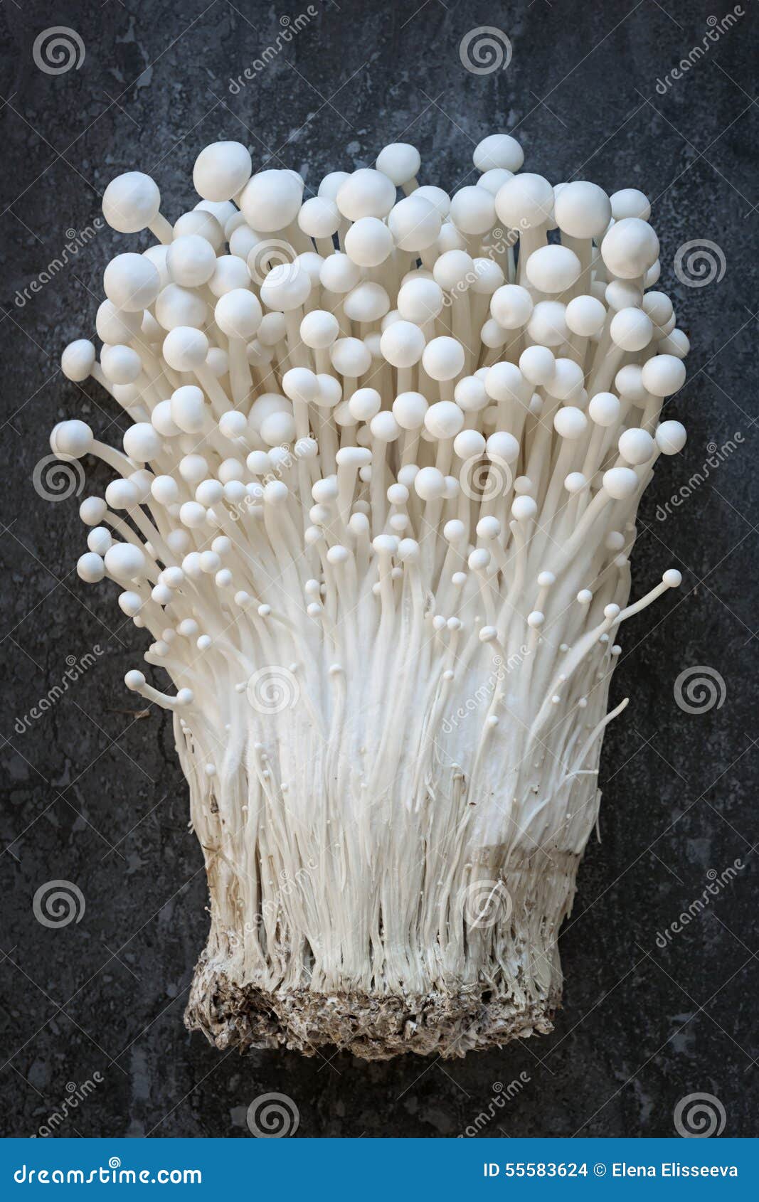 Setas de Enoki foto de archivo. Imagen de tradicional - 55583624