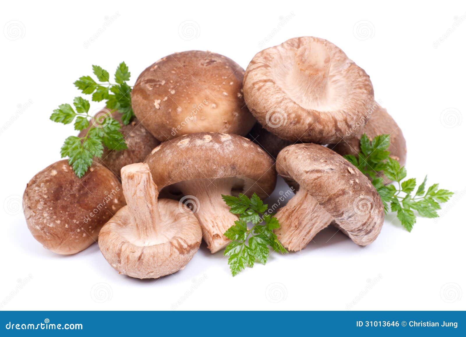 Setas de Shiitake foto de archivo. Imagen de comestible - 31013646