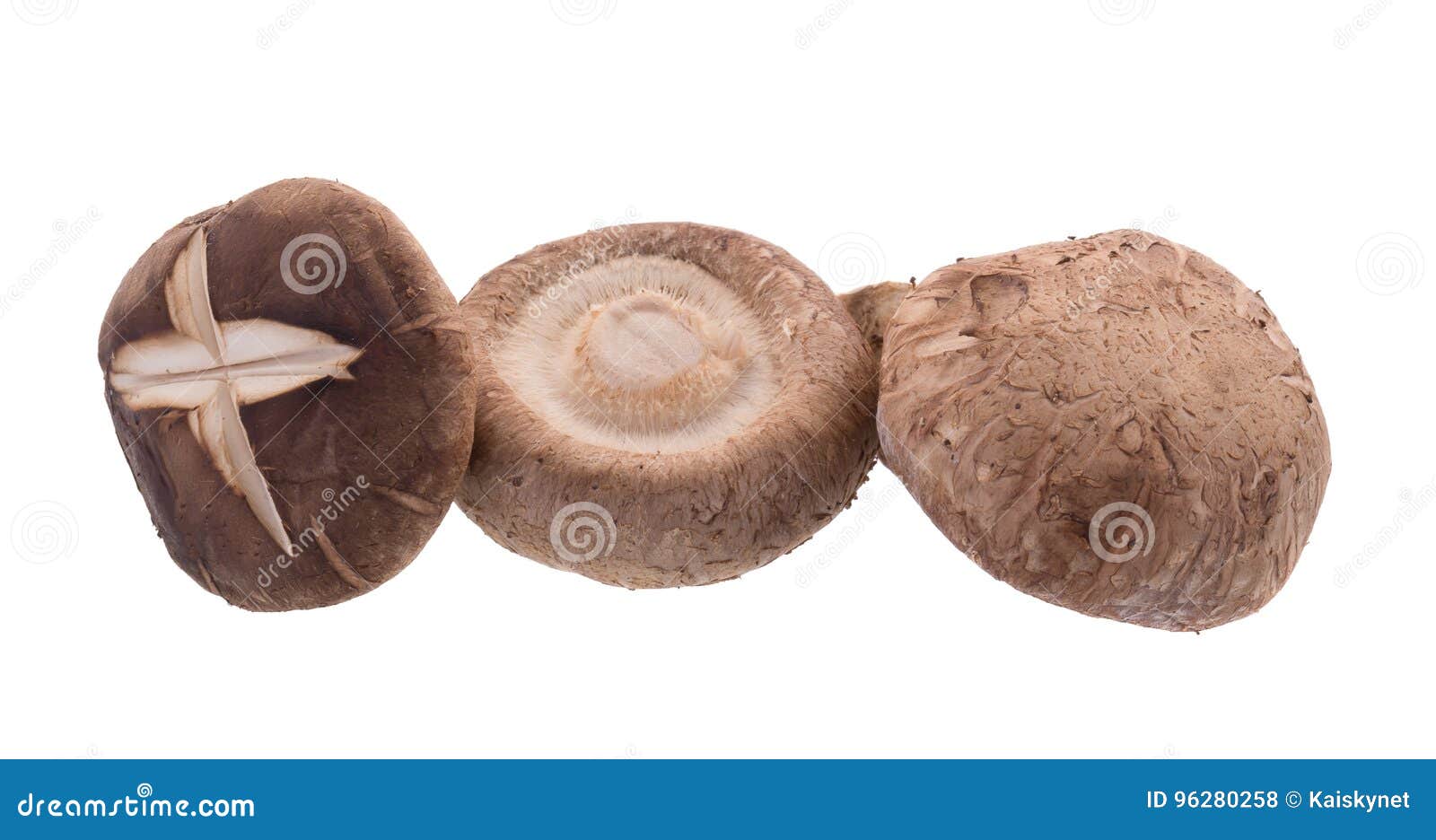 Setas De Shiitake Aisladas En El Fondo Blanco Foto de archivo - Imagen ...