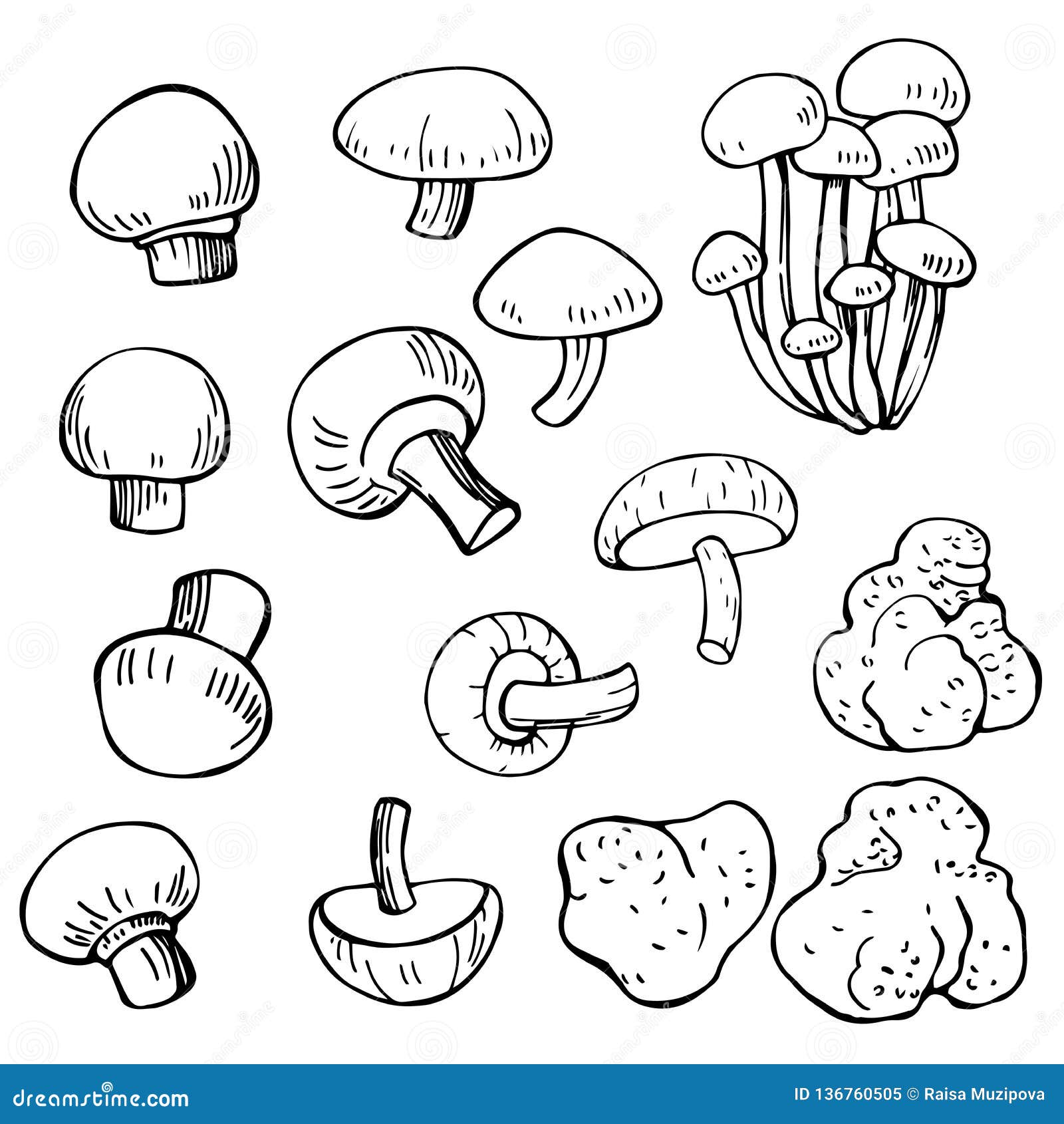 Setas Dibujadas Mano Ejemplo Del Bosquejo Del Vector Ilustración del ...