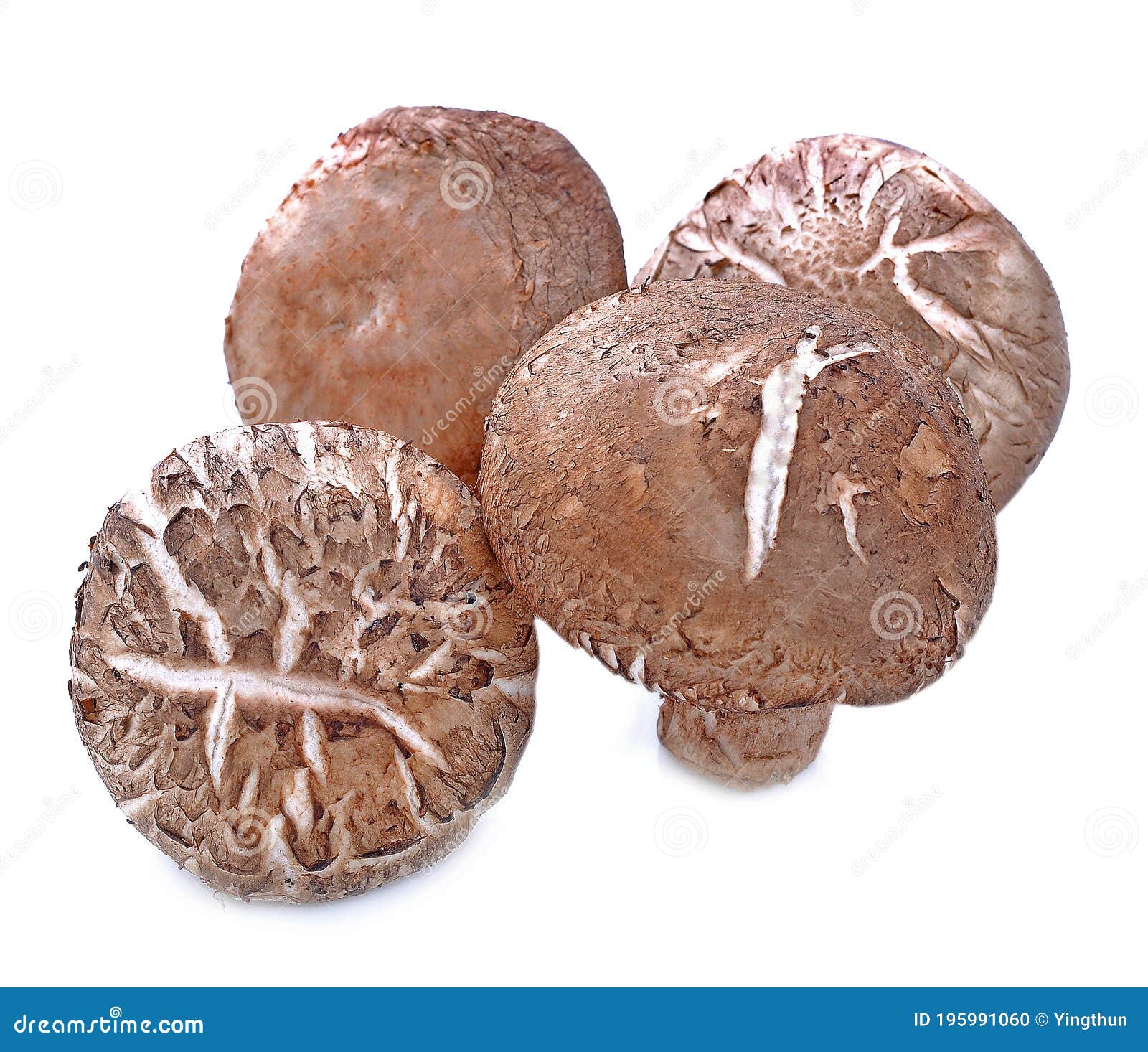 Setas Frescas Aisladas De Fondo Blanco Foto de archivo - Imagen de sano ...