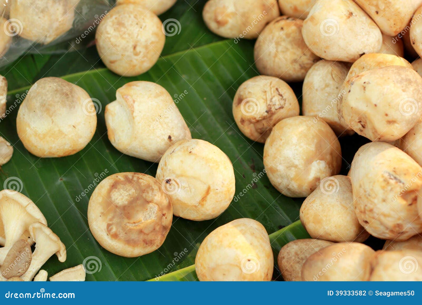 Setas Frescas En El Mercado Foto de archivo - Imagen de pista, hoja ...