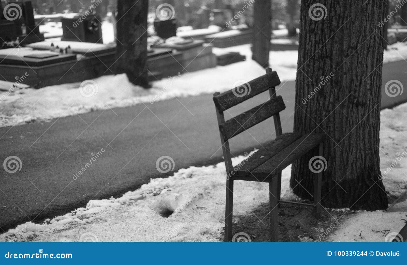 Setee stock photo. Image of cemetery, death, graves - 100339244
