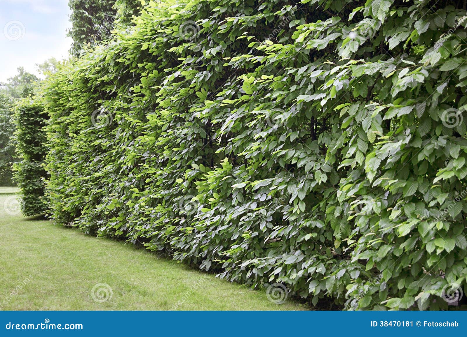 Seto imagen de archivo. Imagen de formal, cerca, pared - 38470181