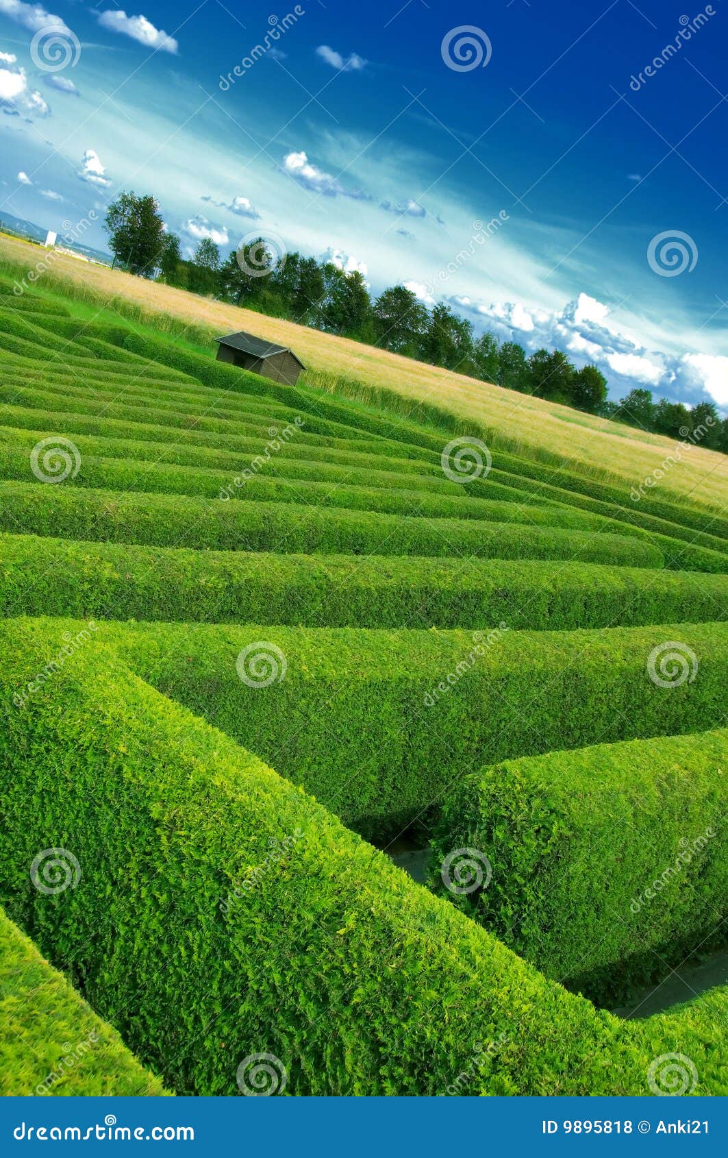 Seto foto de archivo. Imagen de misterio, formal, nubes - 9895818