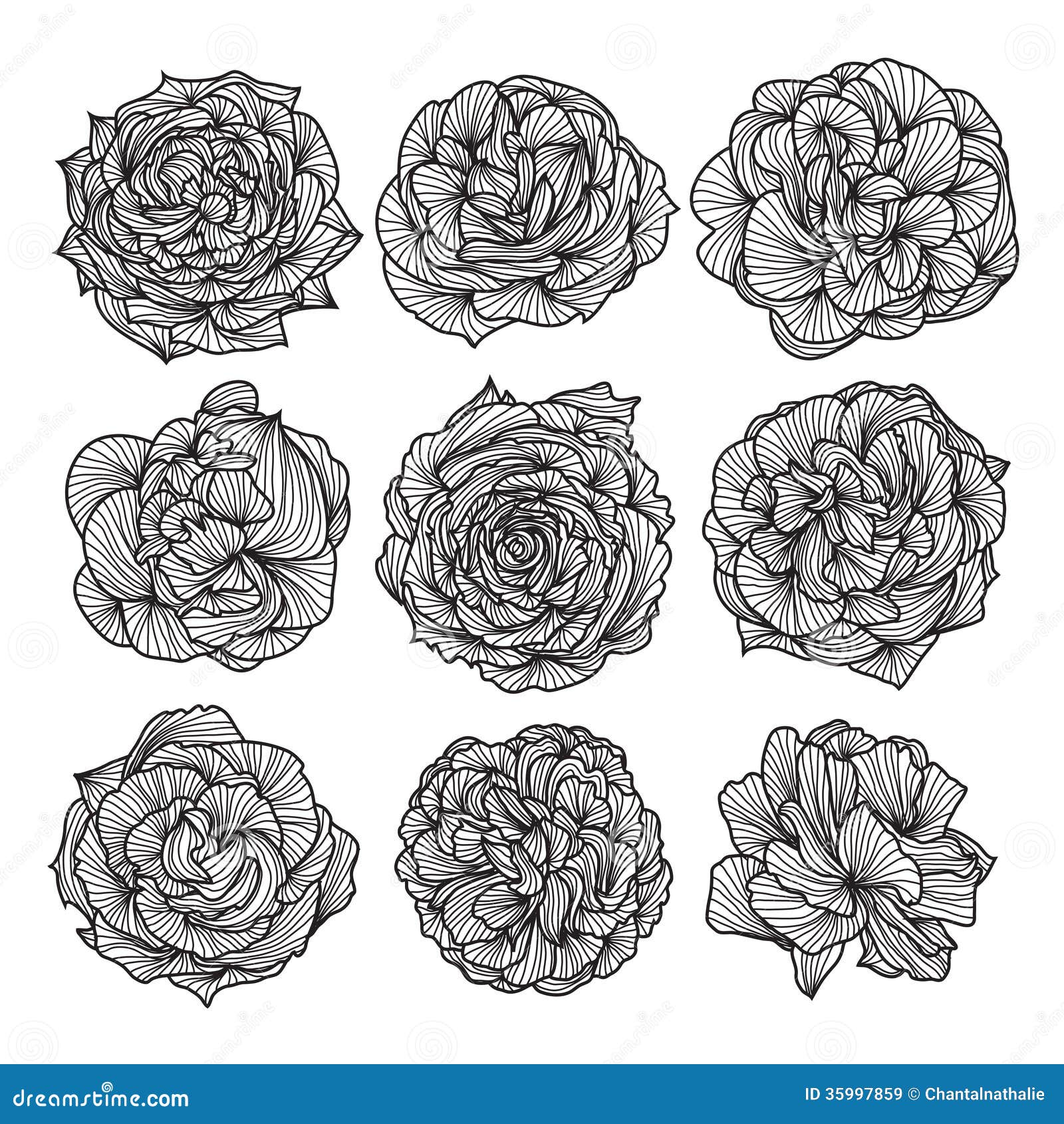 Setof 9 roses stock vector. Illustration of emblem, eps10 - 35997859