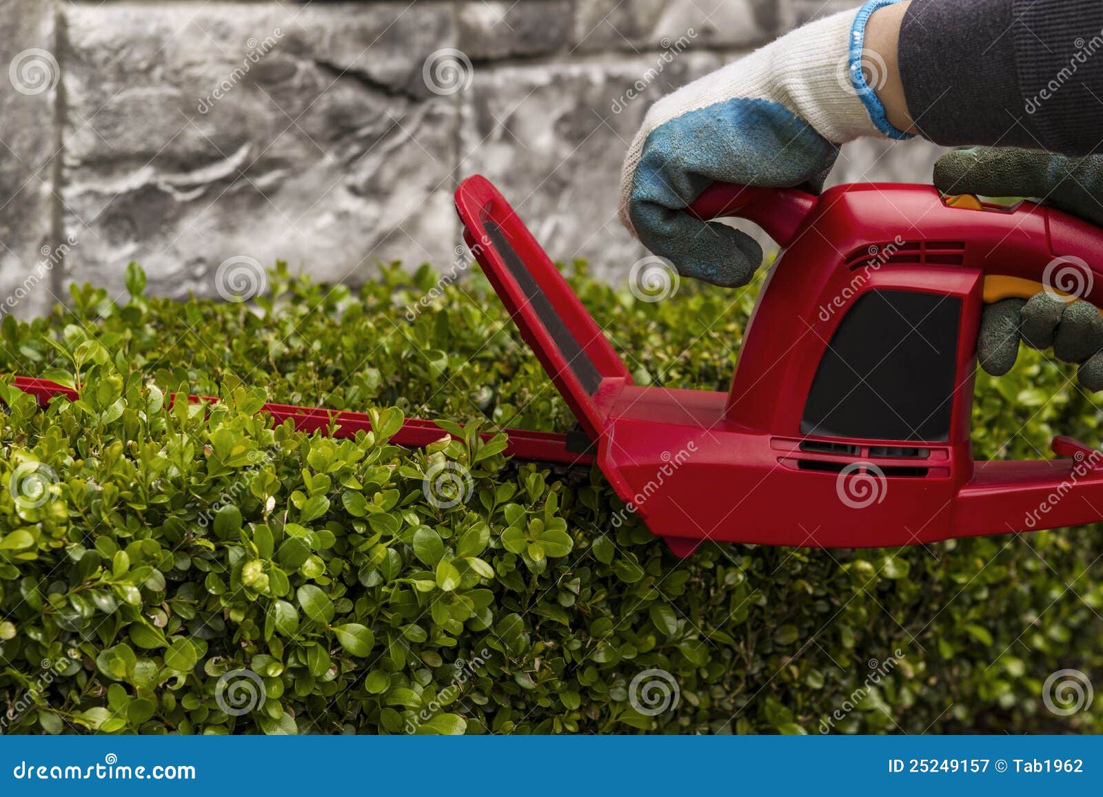 Setos Del Recorte De Hedger De La Potencia Imagen de archivo - Imagen ...