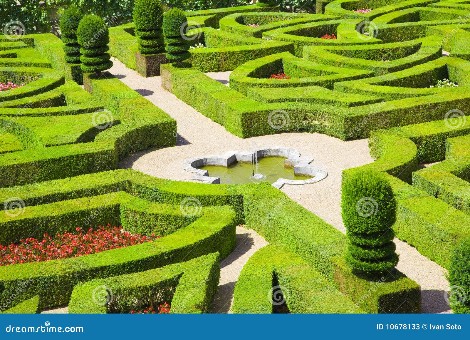 Setos geométricos imagen de archivo. Imagen de arbusto - 10678133
