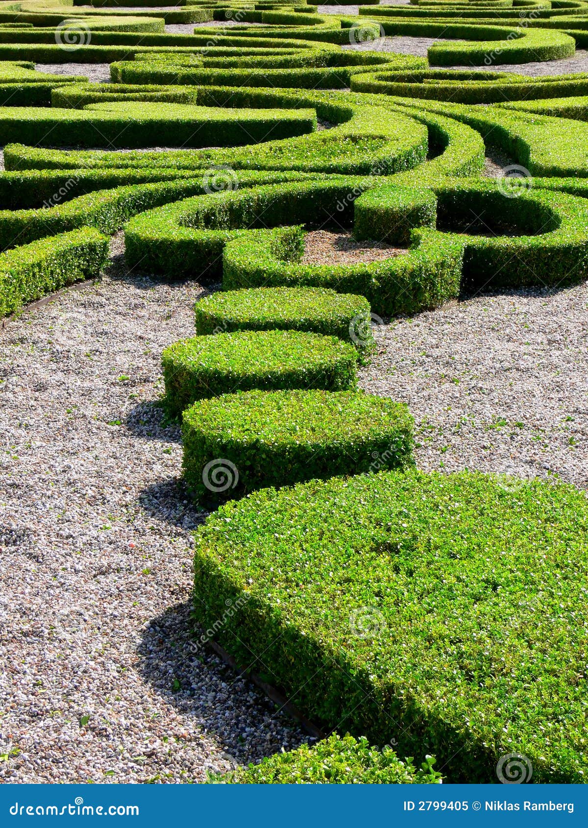 Setos podados imagen de archivo. Imagen de fondos, flor - 2799405