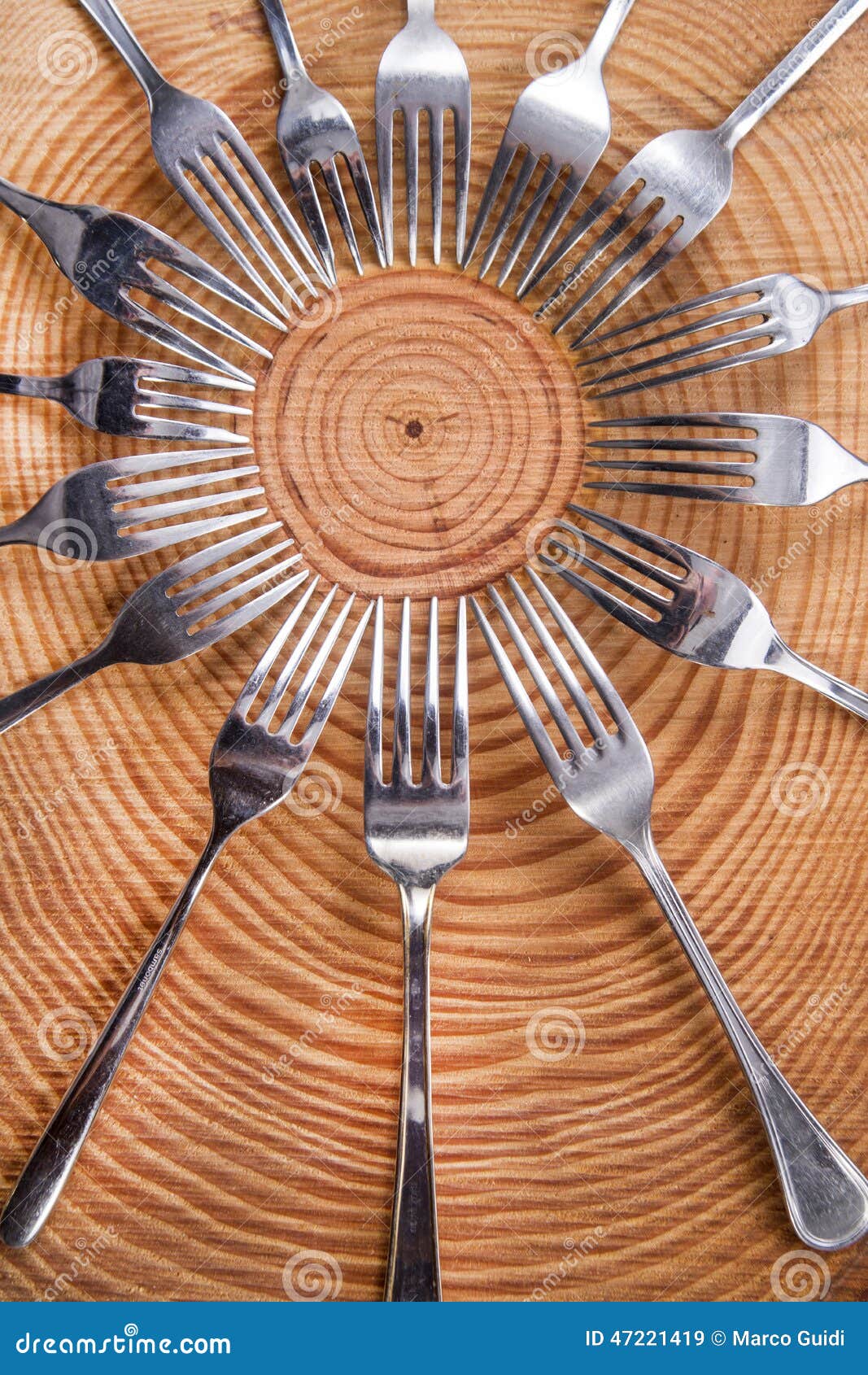Sets of forks stock image. Image of pine, series, fork - 47221419